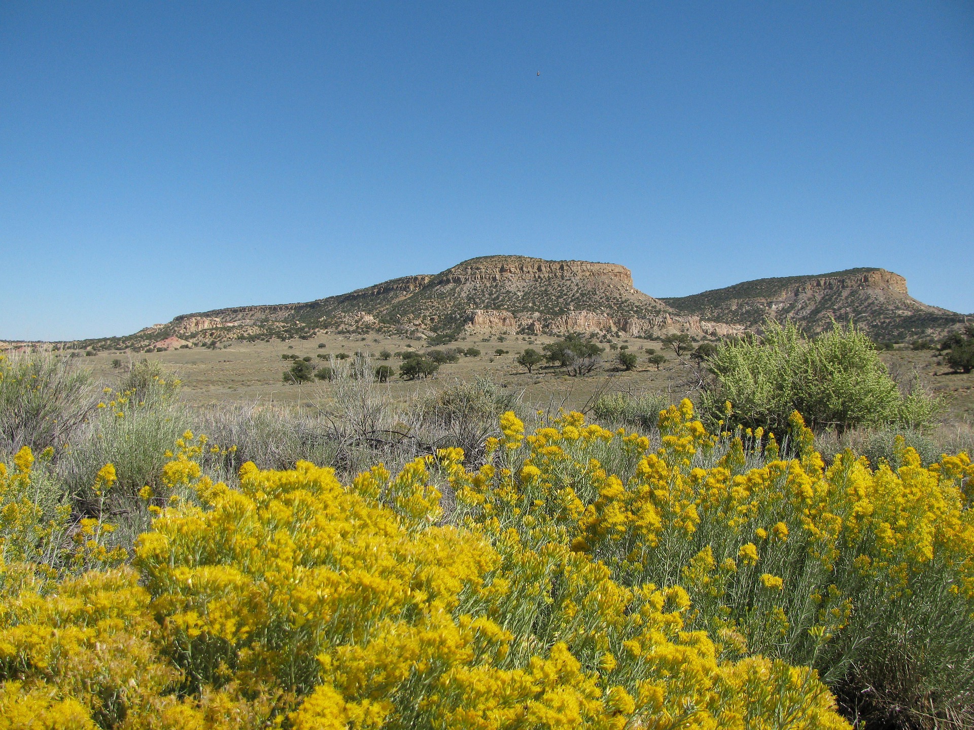 New Mexico Land For Sale | Hayden Outdoors
