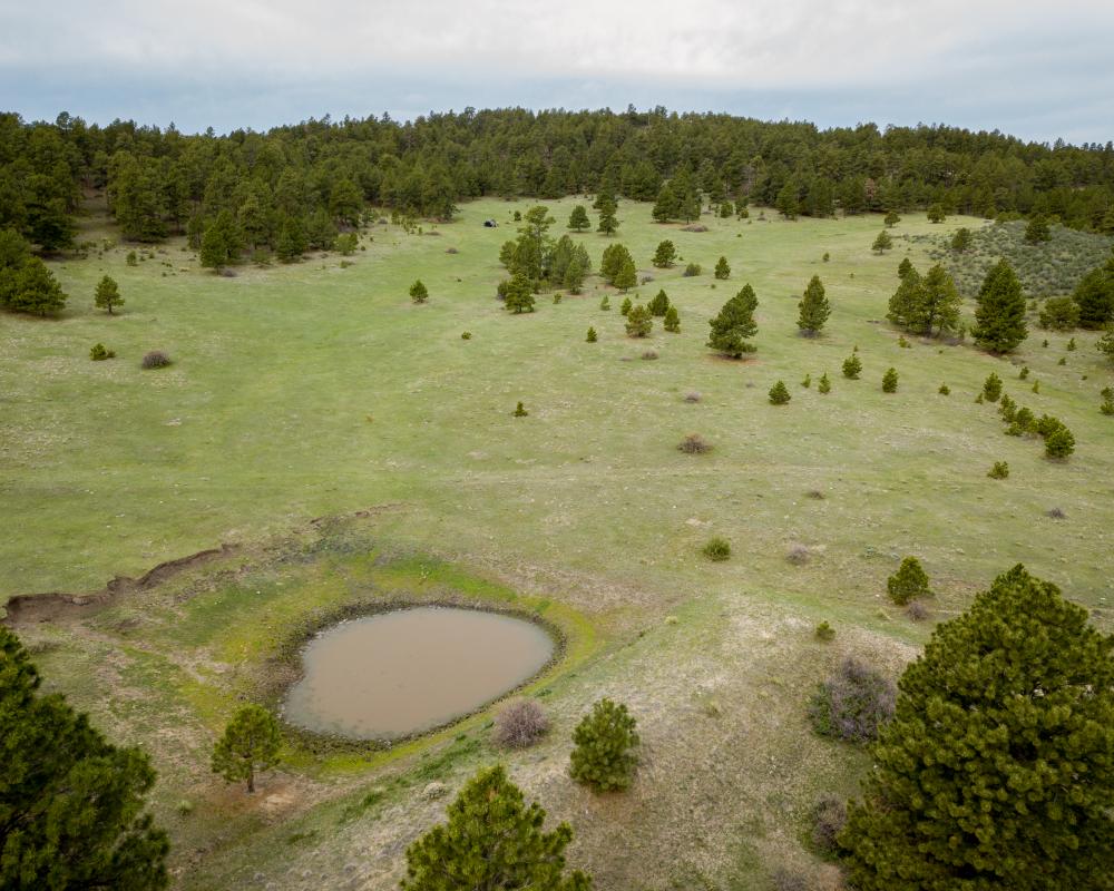 Double Tree Ranch | Hayden Outdoors