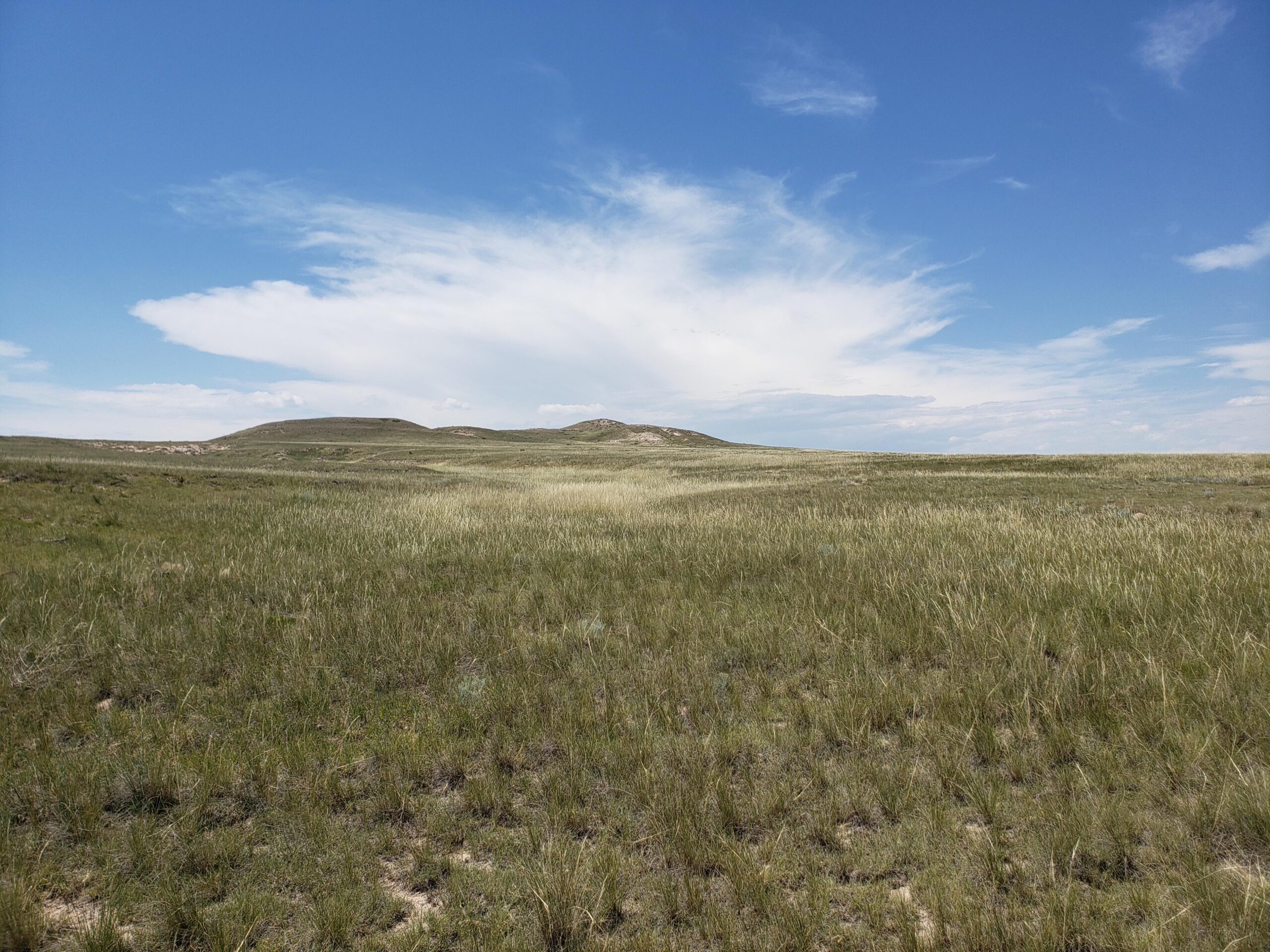 Bashor Keota Ranch | Hayden Outdoors