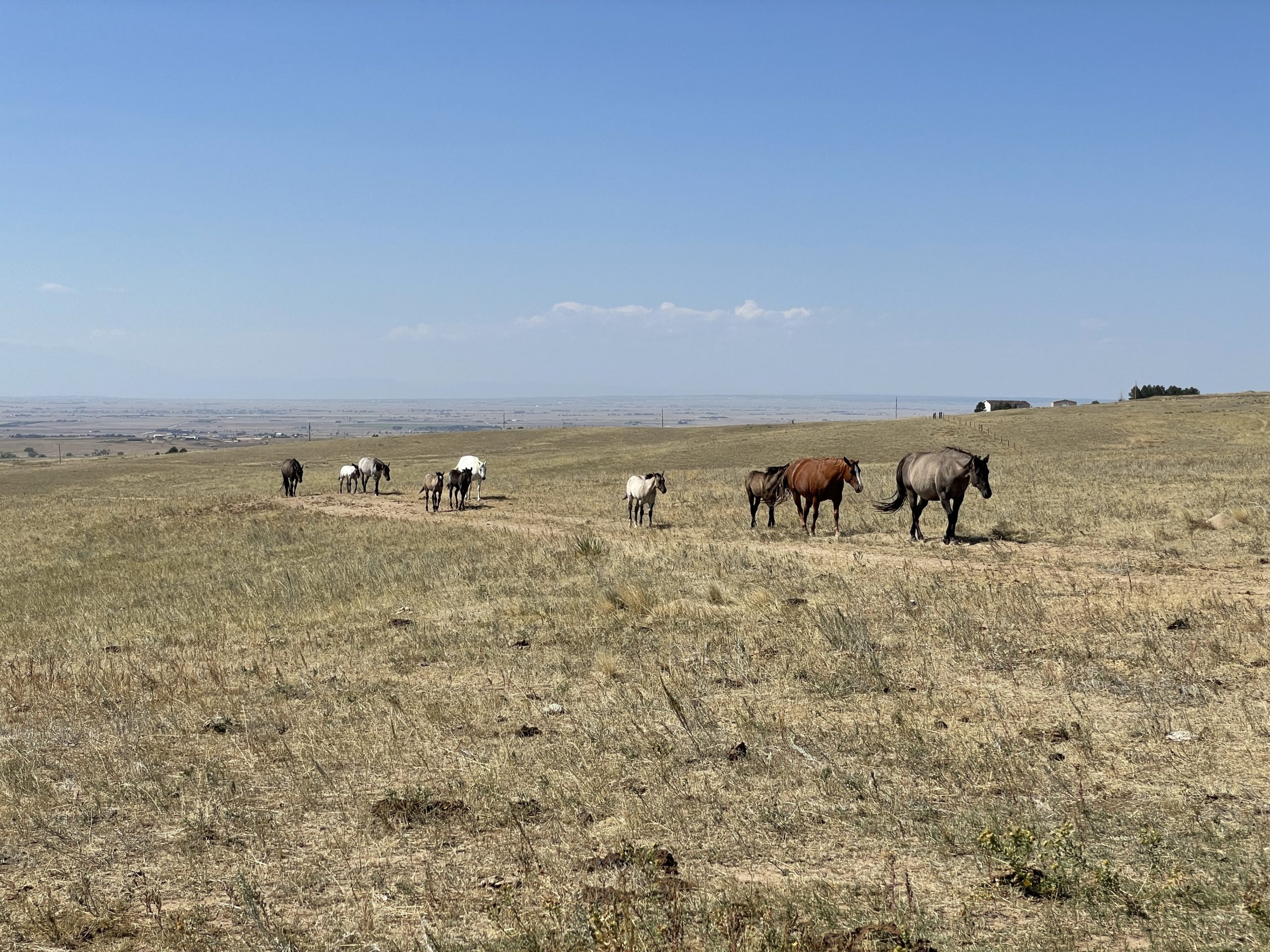 Freeman Ranch- Calhan Unit | Hayden Outdoors