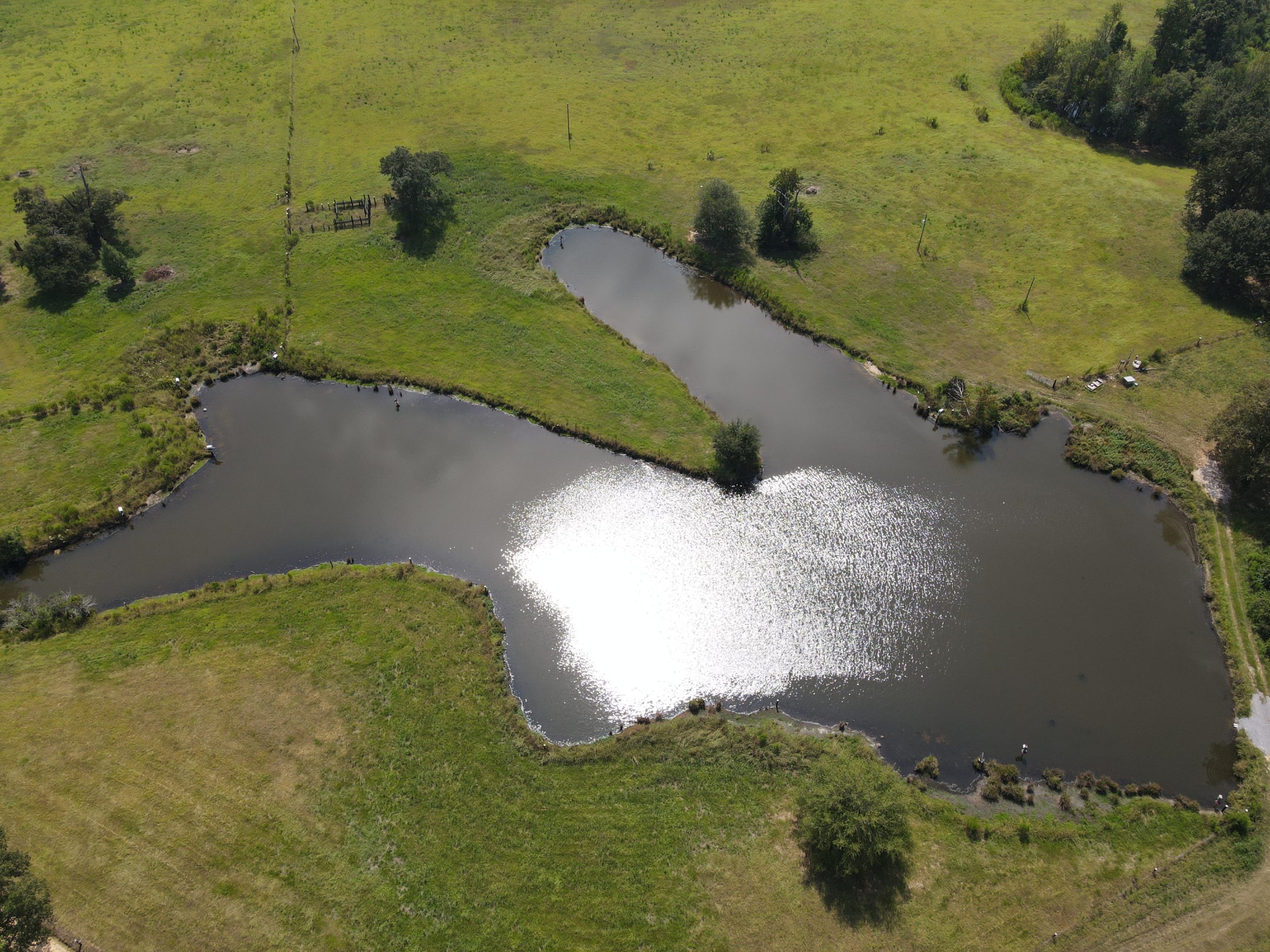 112.1+- Acres with Pee Dee River basin Duck Impound | Hayden Outdoors