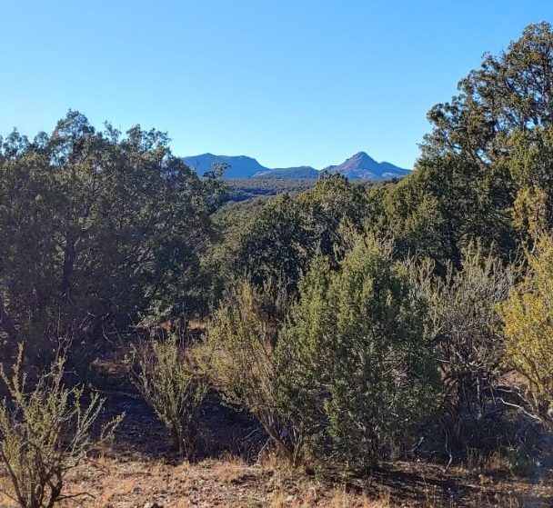Westwood Ranch - 41.81 Acres | Hayden Outdoors
