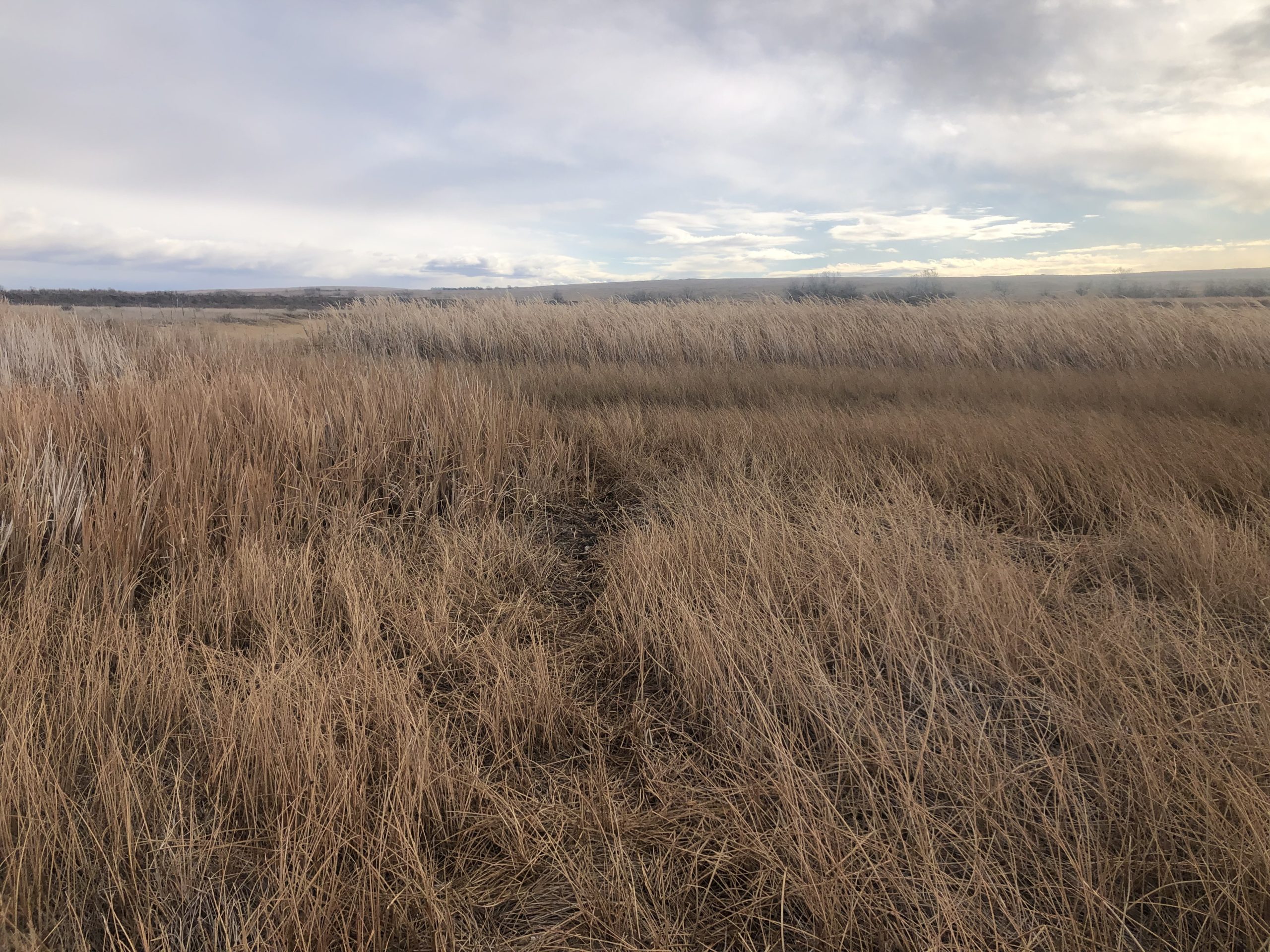 South Wagner Ranch | Hayden Outdoors