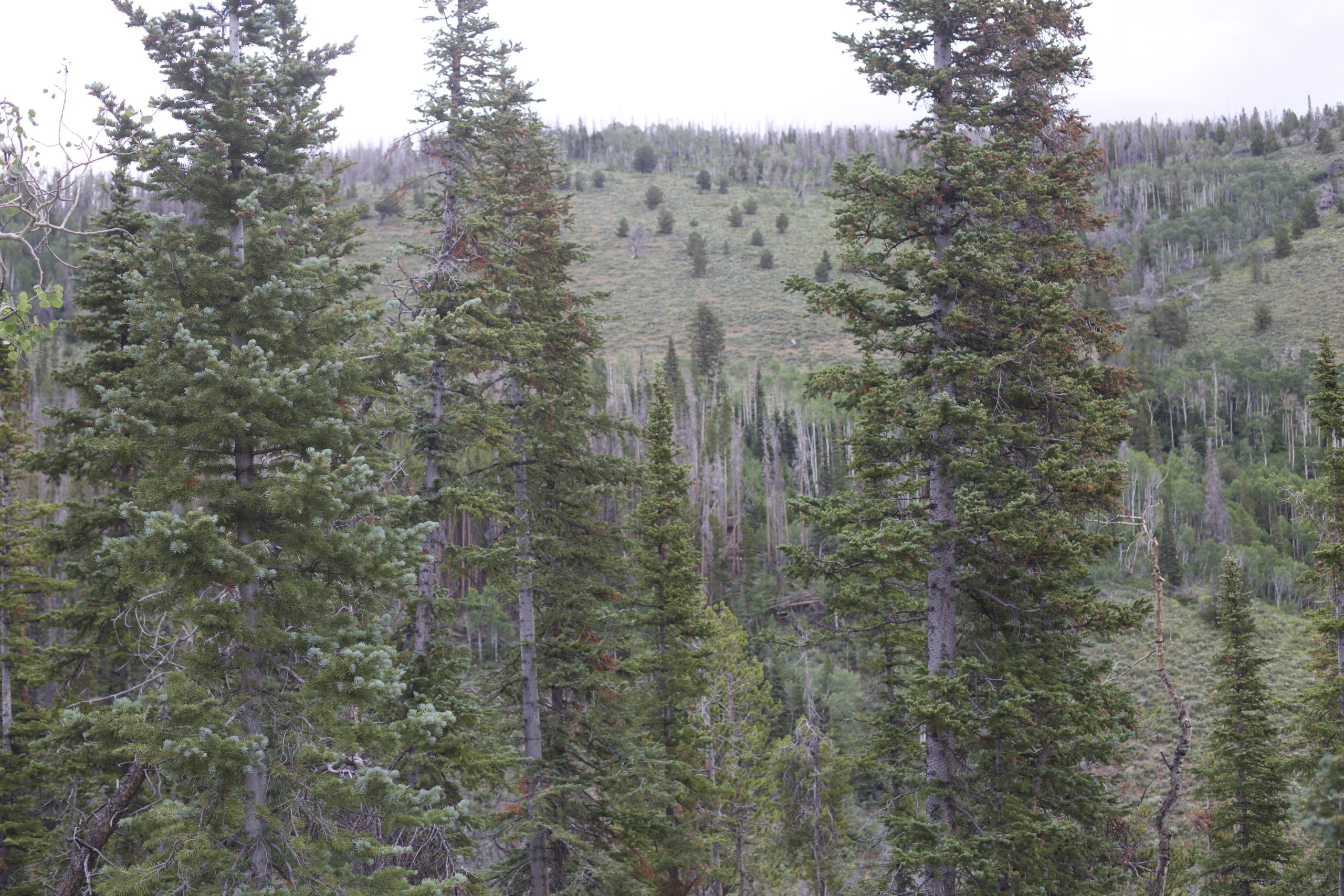 Aetna Claim Parcel A | Hayden Outdoors