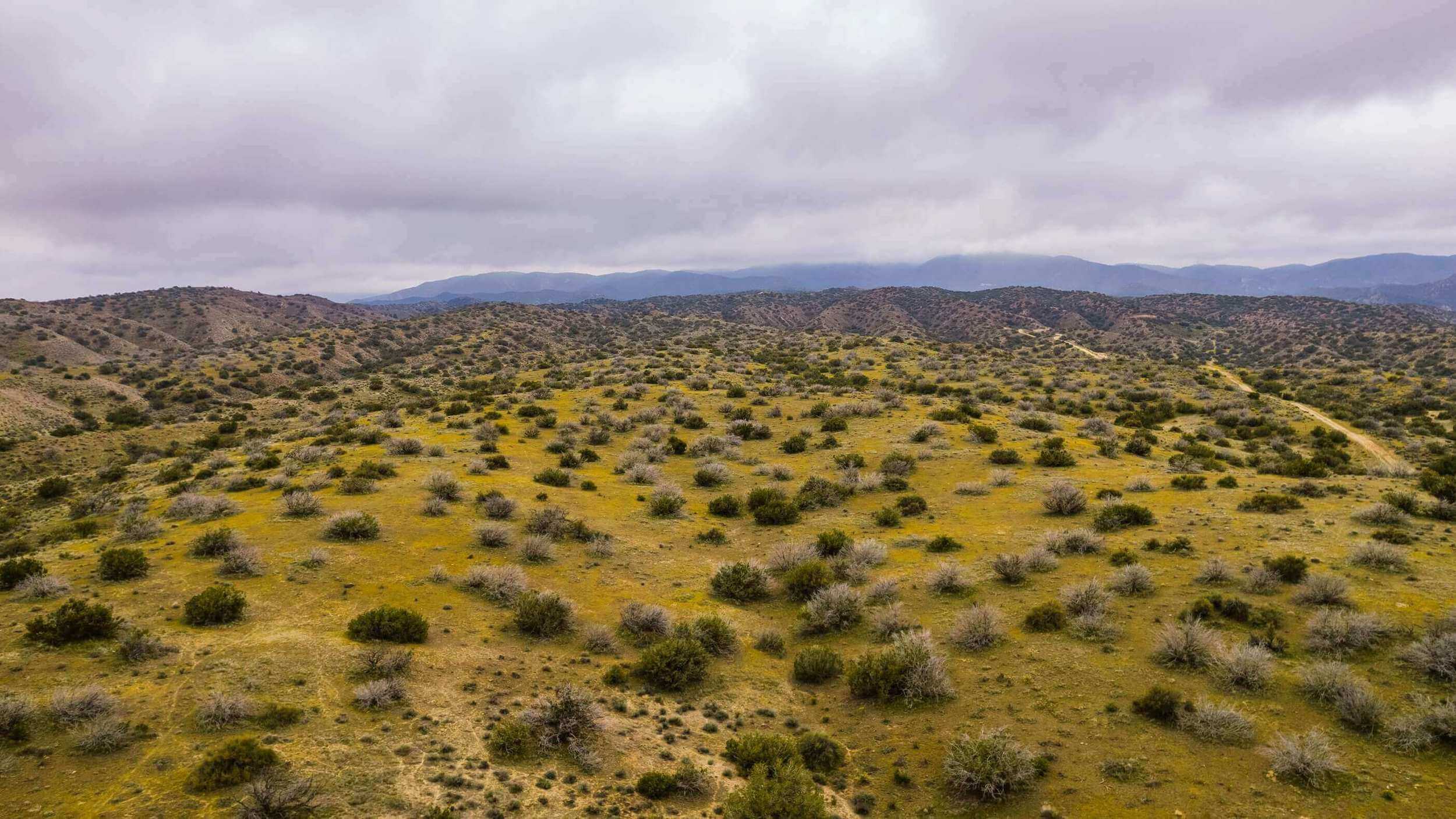 California Ranches For Sale | Hayden Outdoors