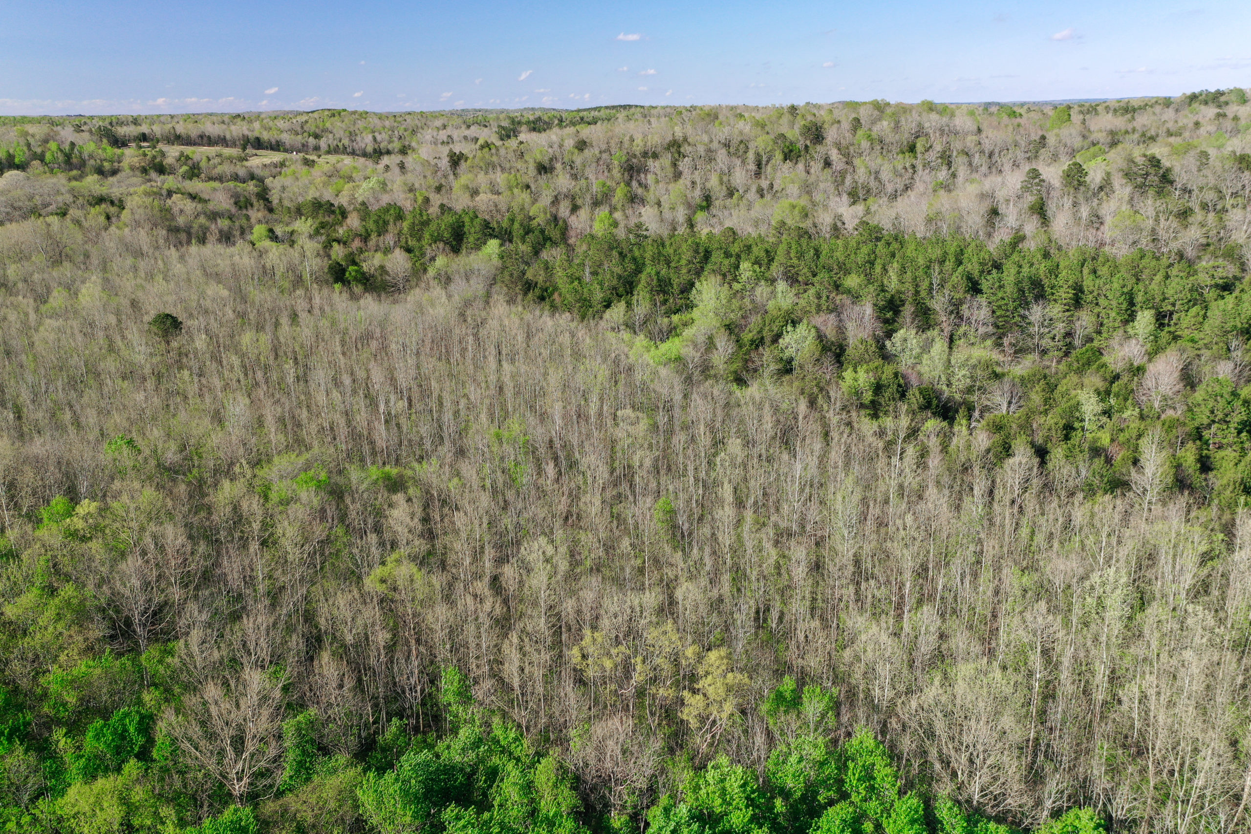 Nance Bend Hunting Tract | Hayden Outdoors