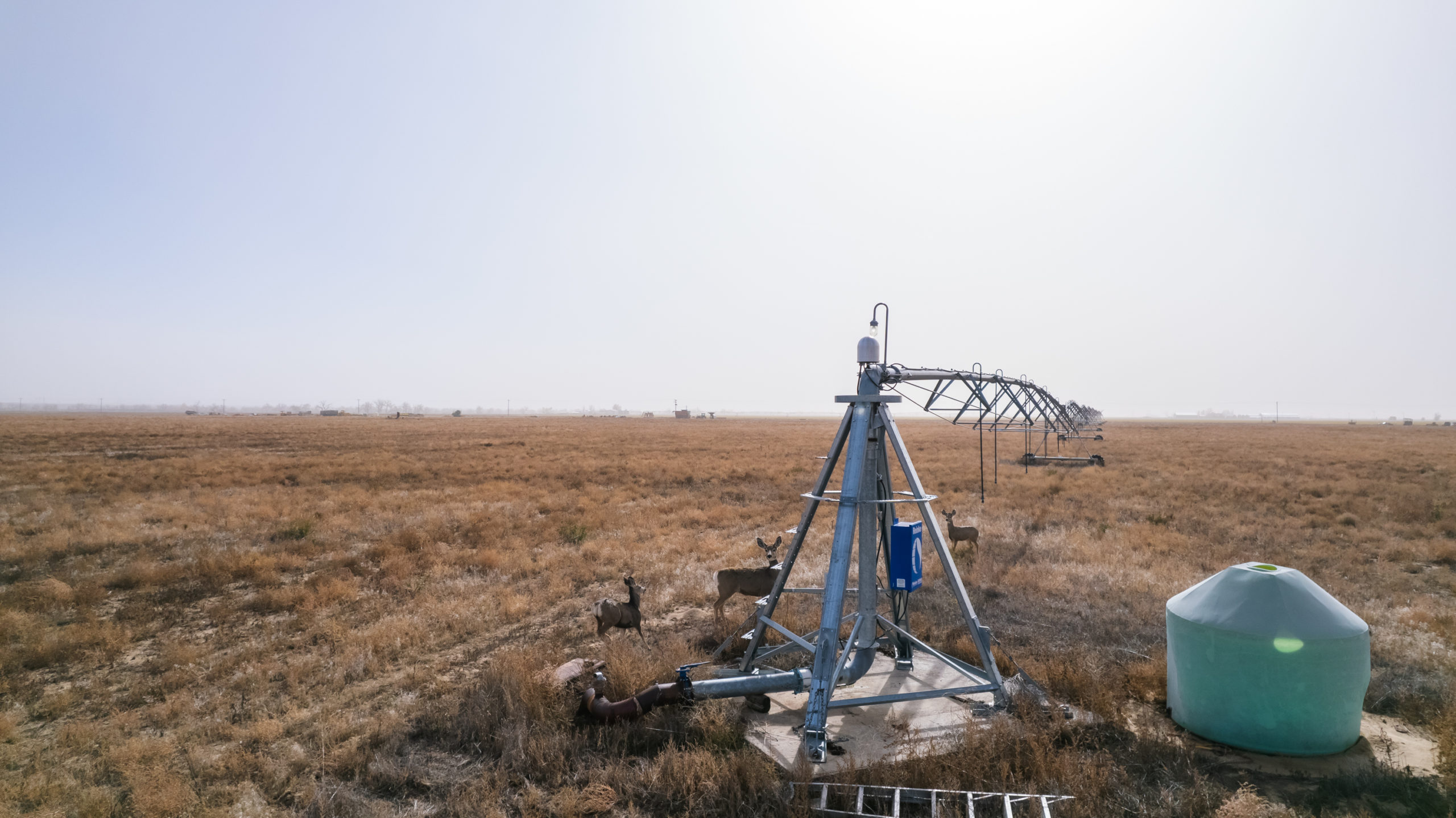 Organic Irrigated Farm Auction, Wiggins, Colorado | Hayden Outdoors