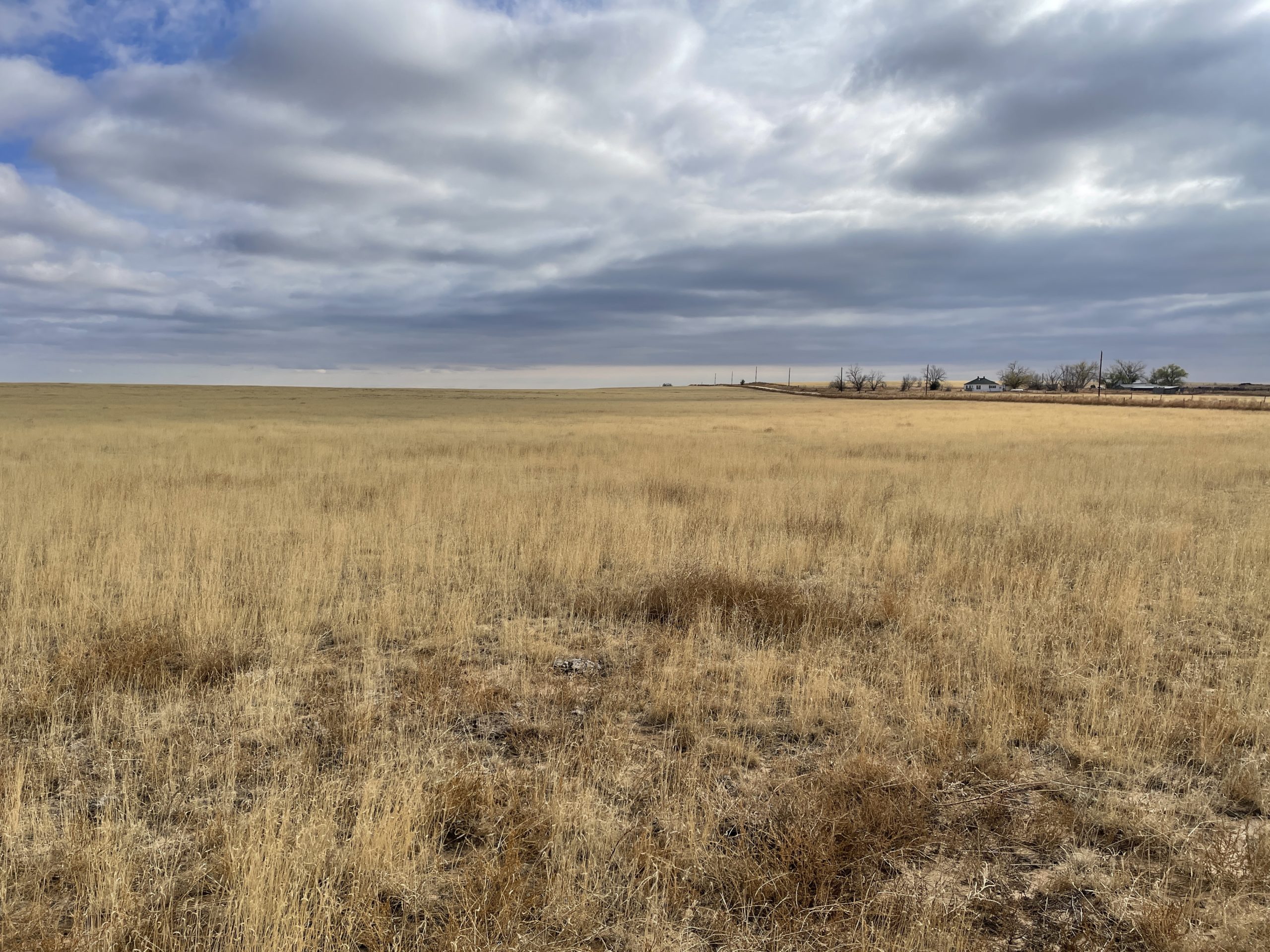 Rush Grass Land CRP Section | Hayden Outdoors
