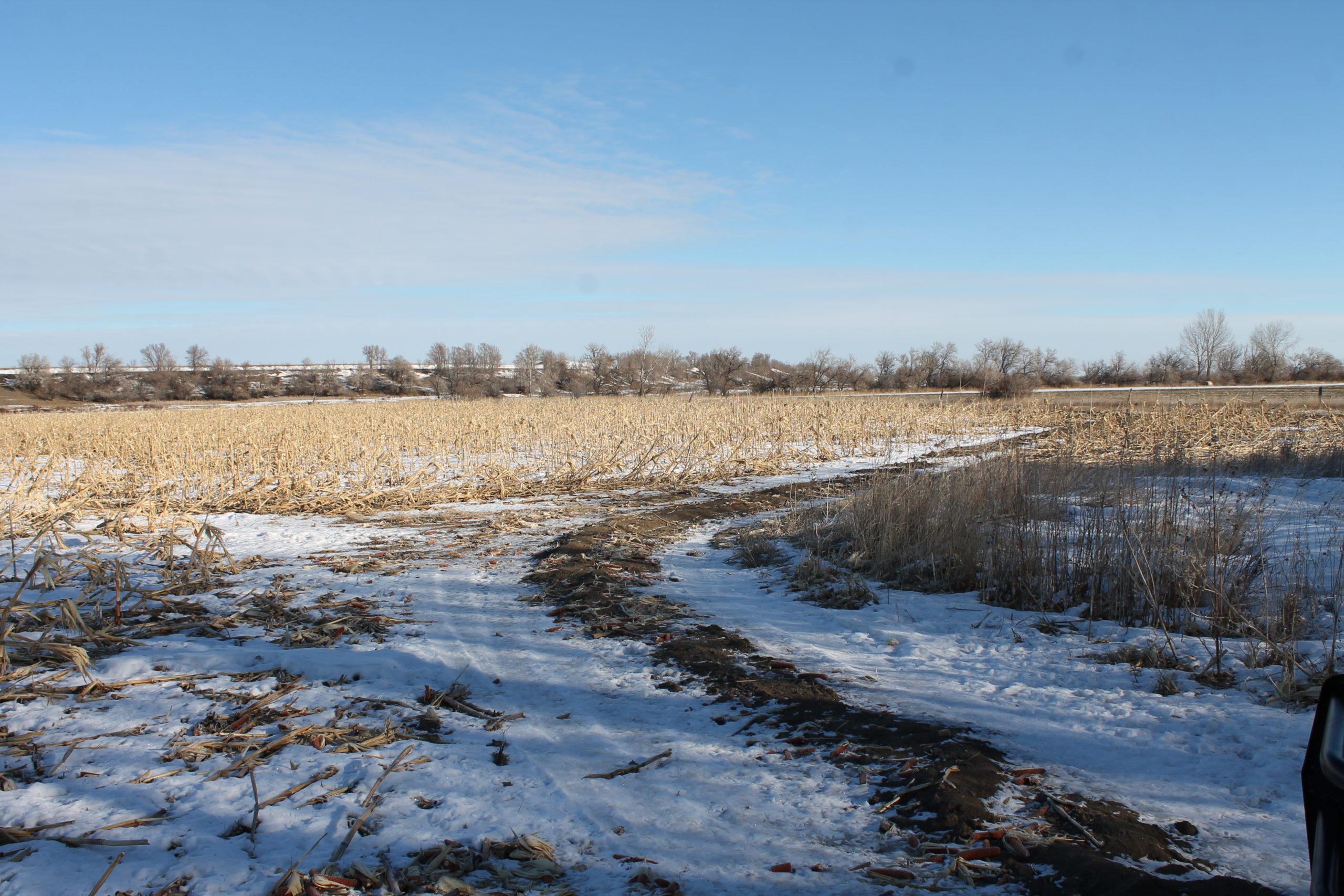 Midway Parcel 3 | Hayden Outdoors