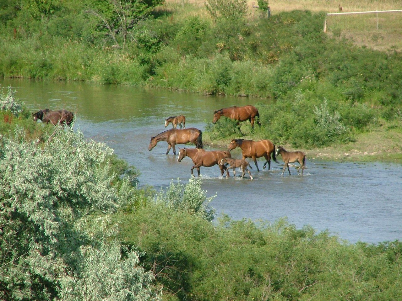 Rivervale Farm | Hayden Outdoors