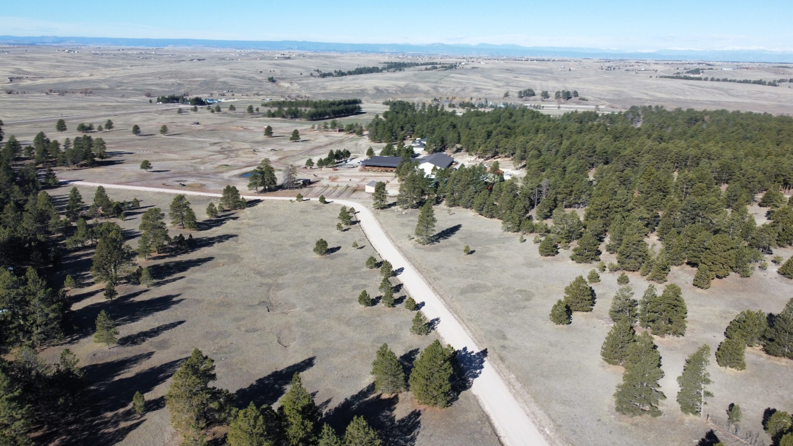Elizabeth Pines 57 | Hayden Outdoors