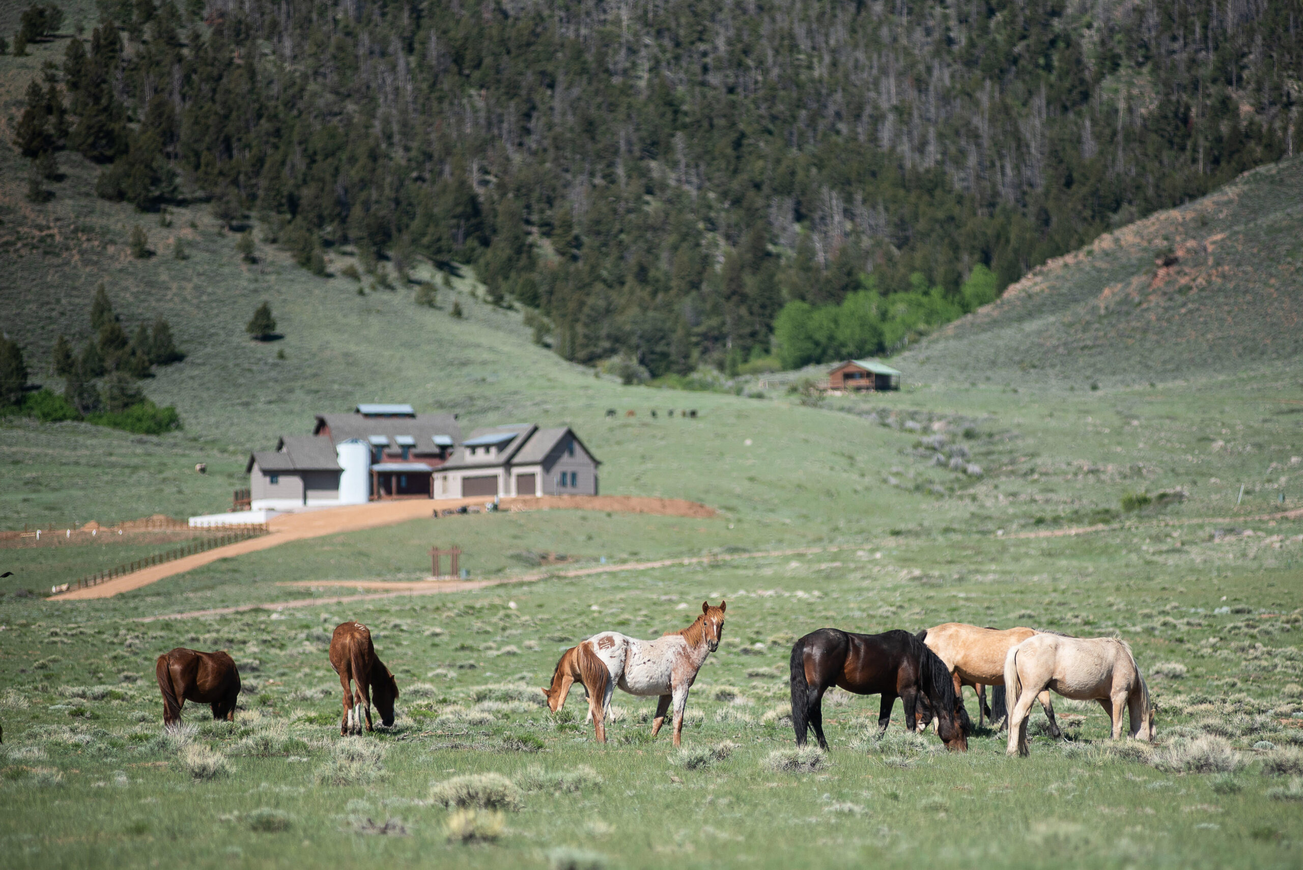 The Farmhouse at Wild Horse Ranch | Hayden Outdoors