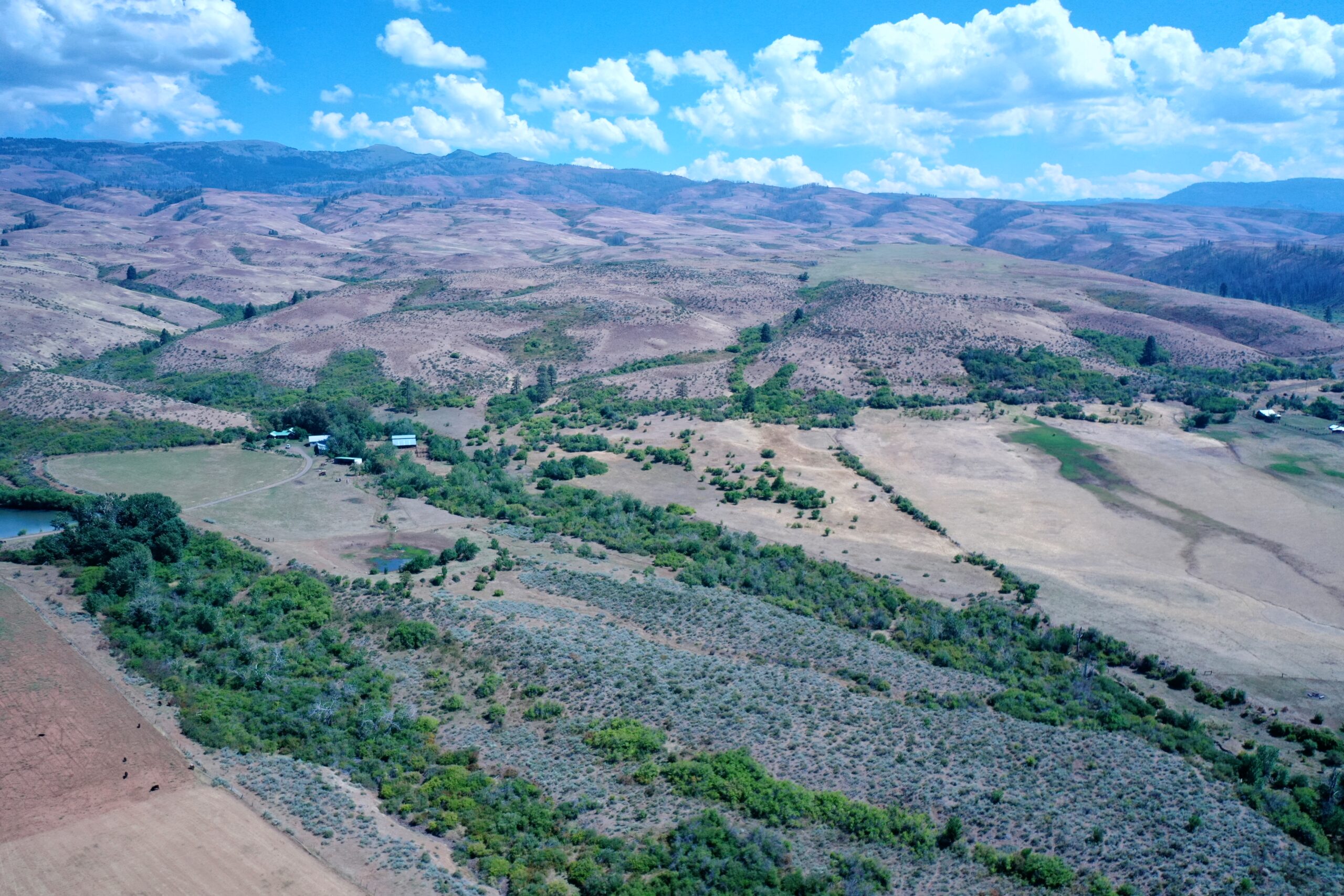 Lester Creek Ranch | Hayden Outdoors