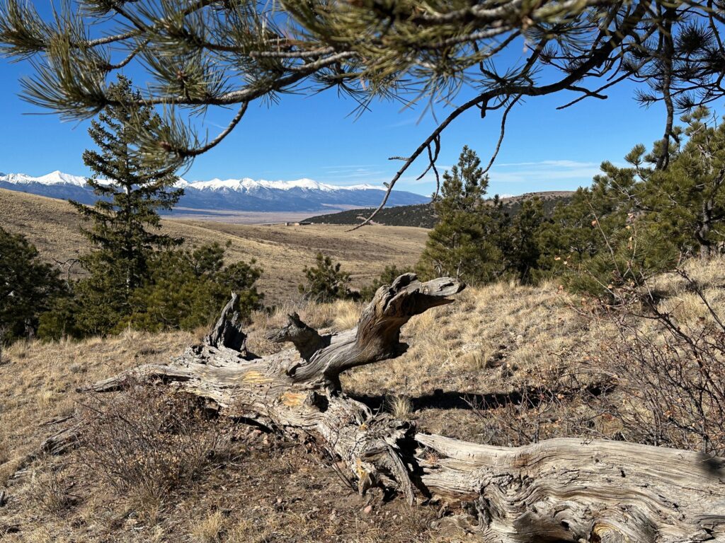 Knolltop Lookout | Hayden Outdoors