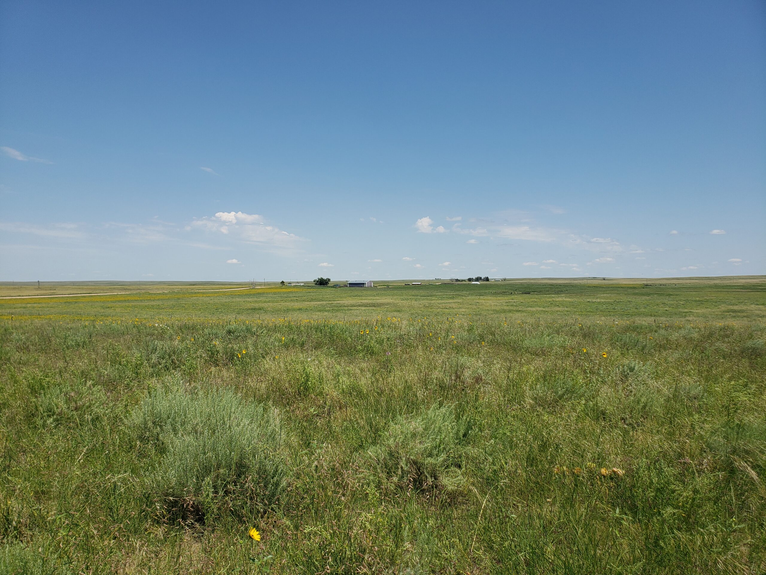Midway 80's Washington County N1/2 | Hayden Outdoors