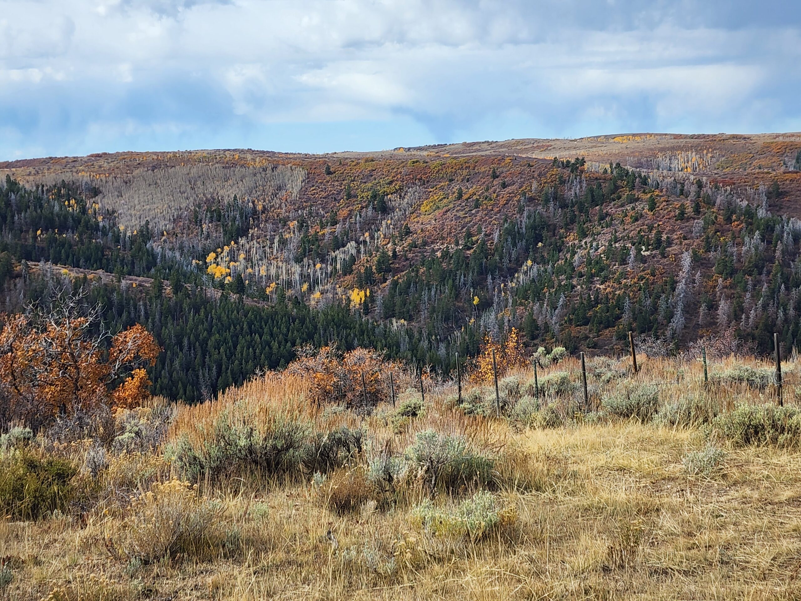 High Point Ranch | Hayden Outdoors