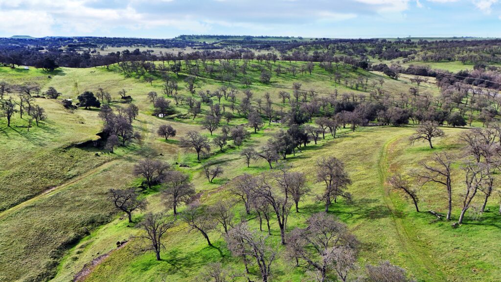 Wallace Oaks Estates | Hayden Outdoors