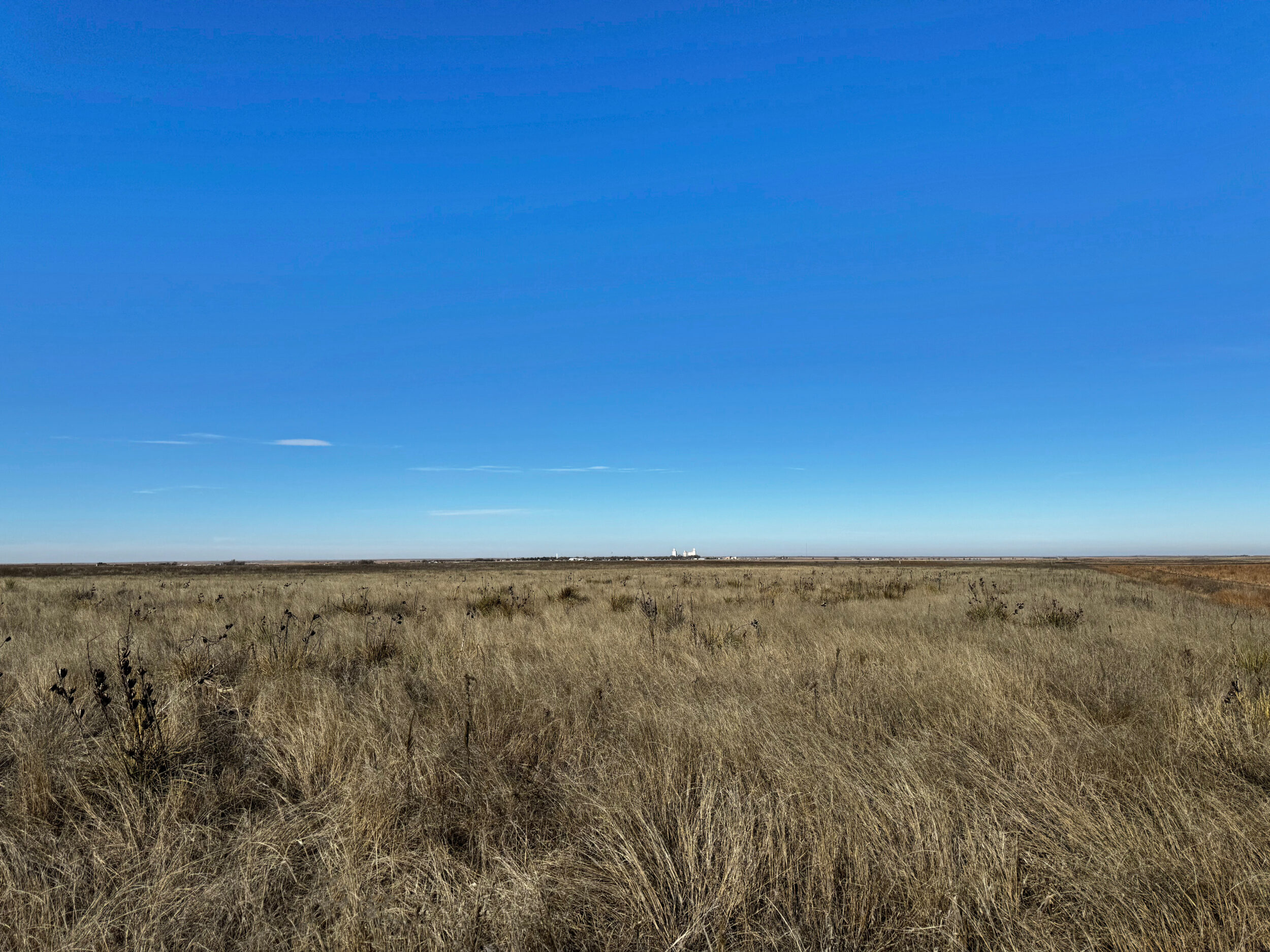 Morton County CRP | Hayden Outdoors