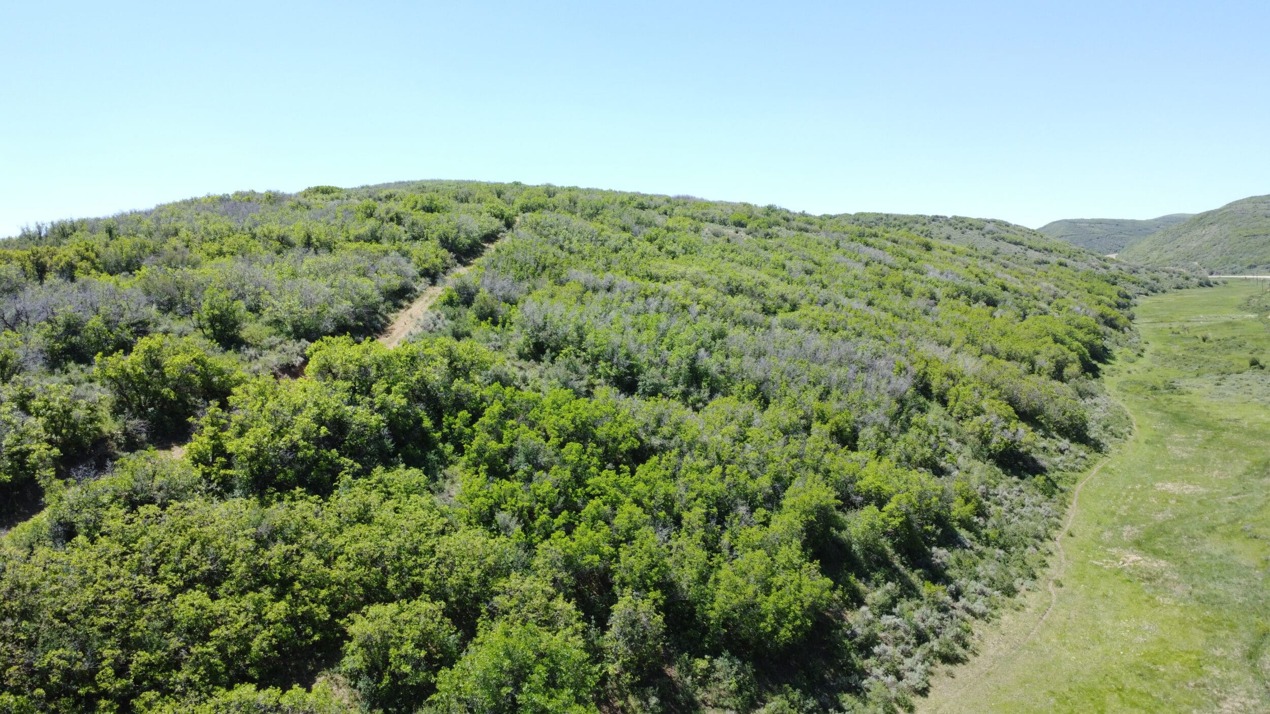 Spring Valley Ranch | Hayden Outdoors