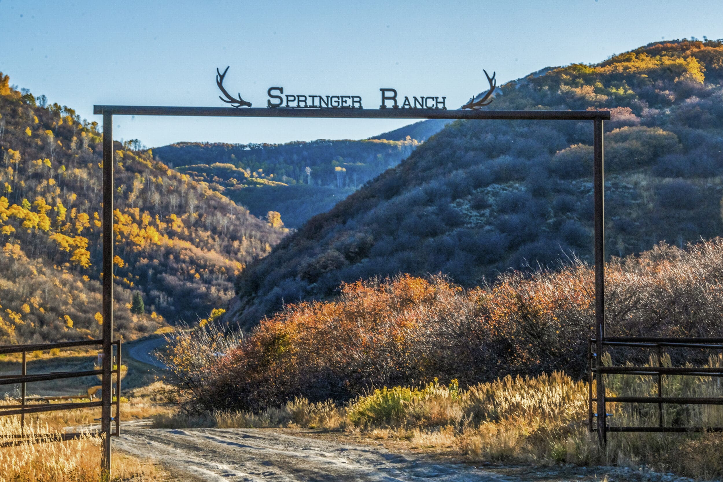 Springer Ranch | Hayden Outdoors