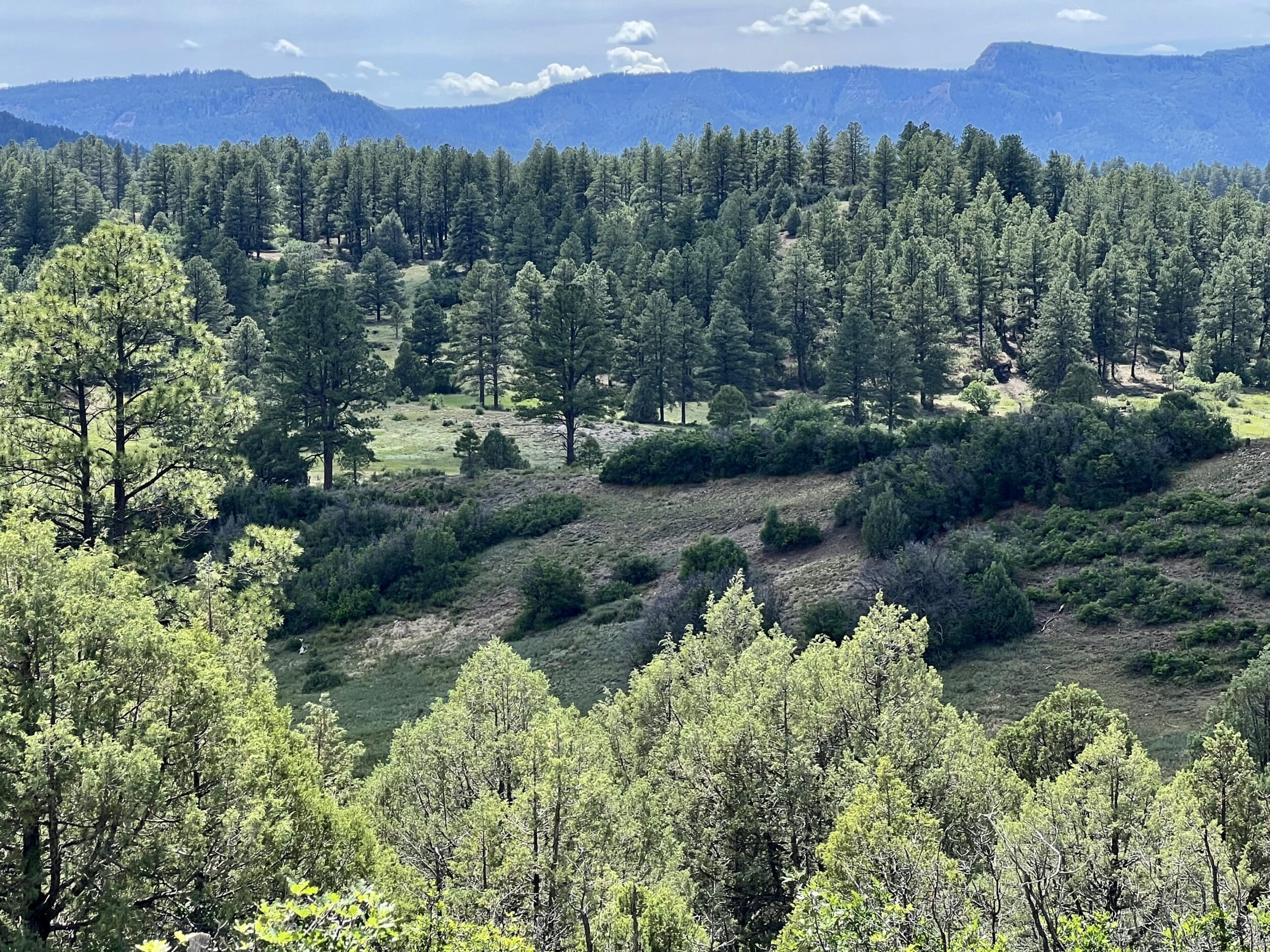 5 Peaks Ranch | Hayden Outdoors