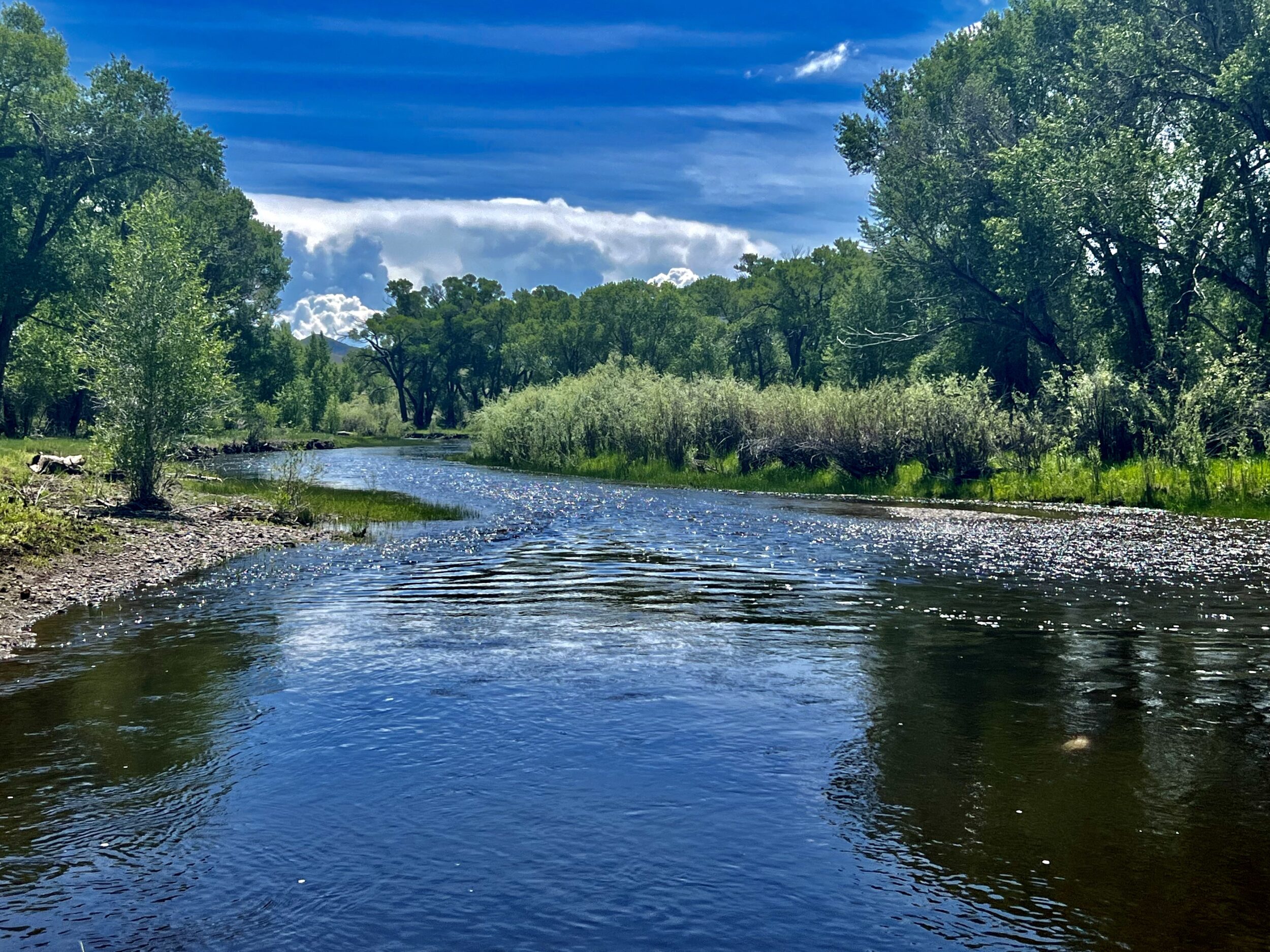 Diamond Quarter Circle River Ranch | Hayden Outdoors