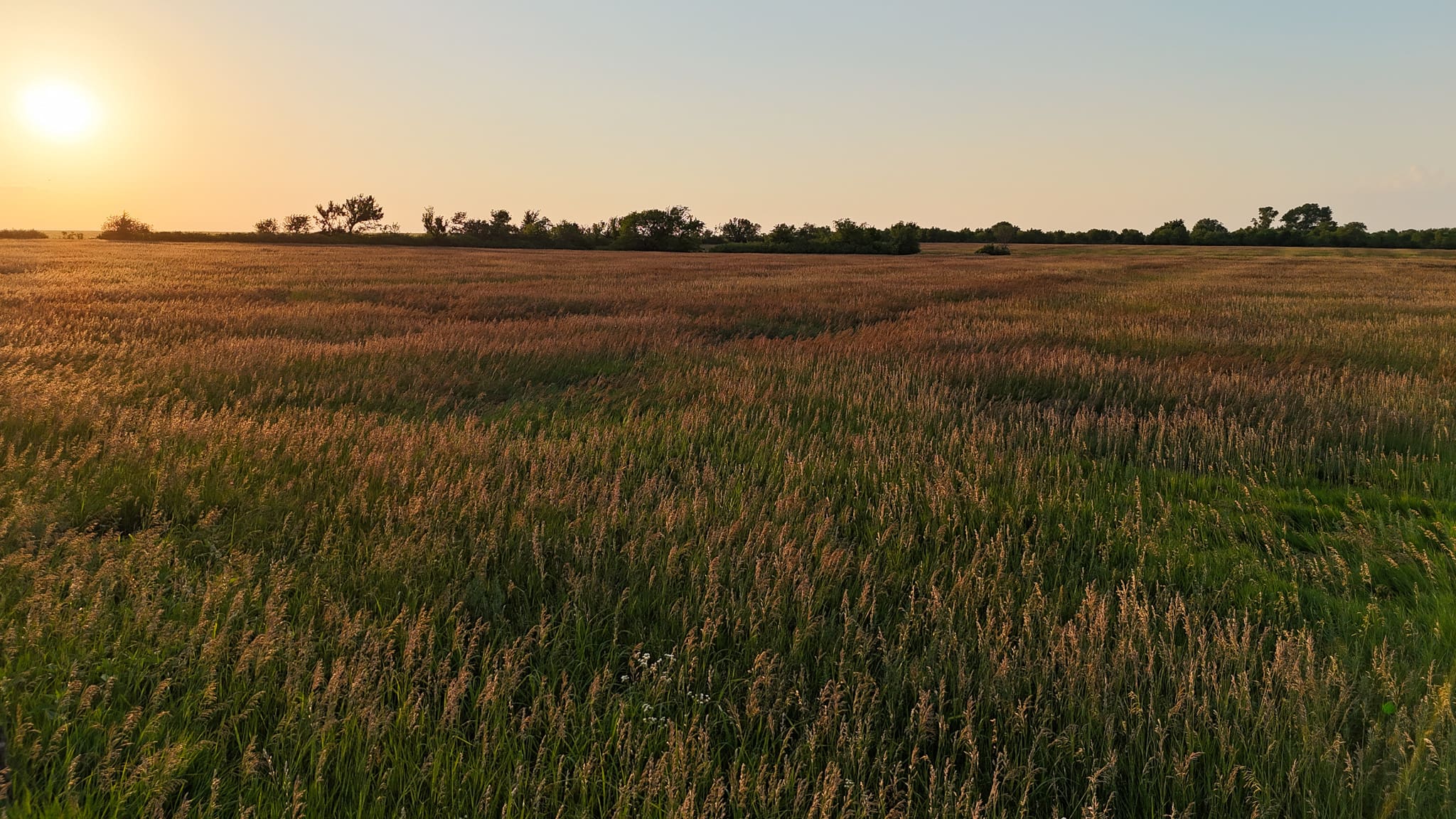 158 +/- Acres Wabaunsee County, KS Hay/Pasture | Hayden Outdoors
