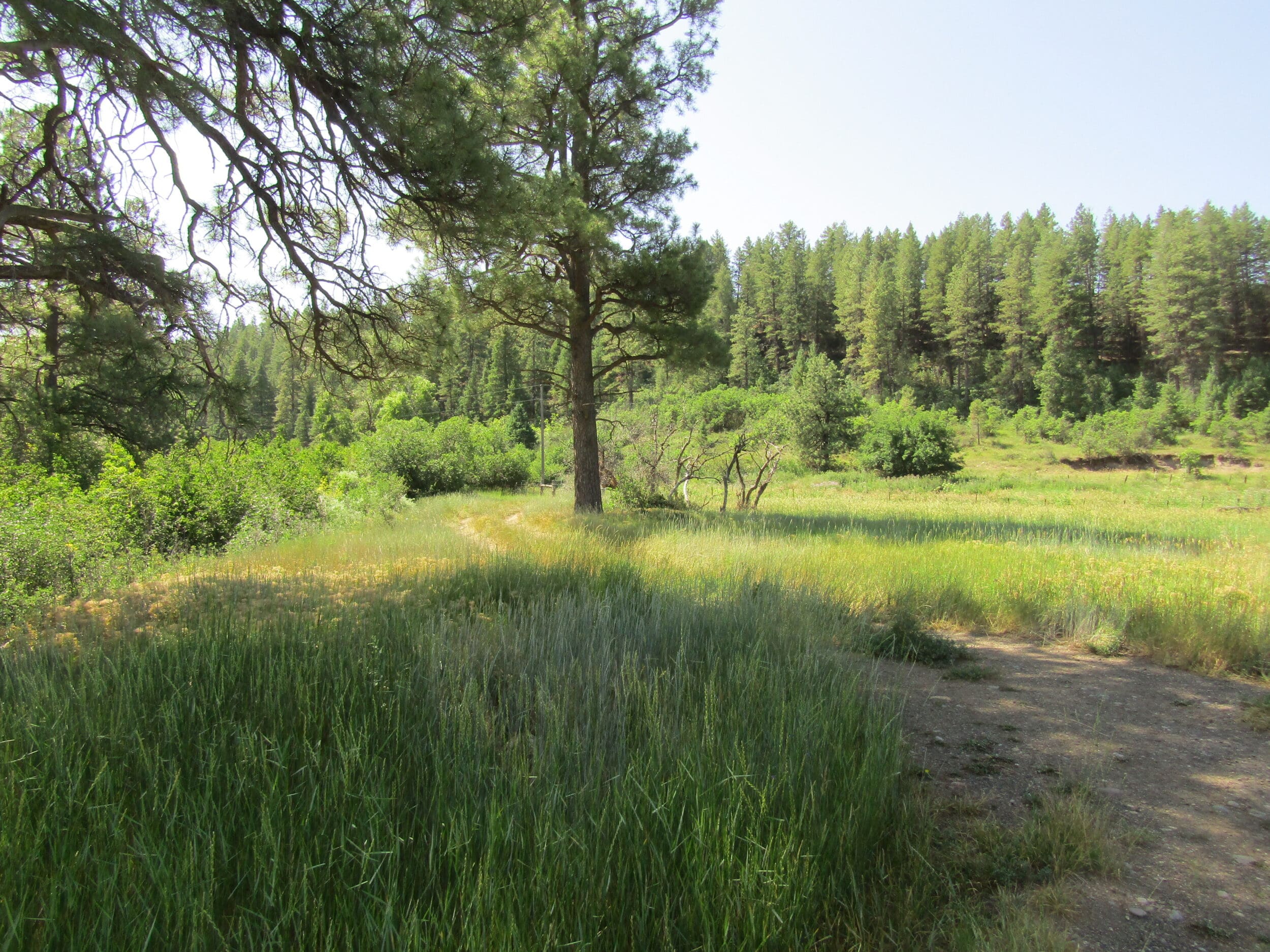 Rusty Spur Ranch | Hayden Outdoors