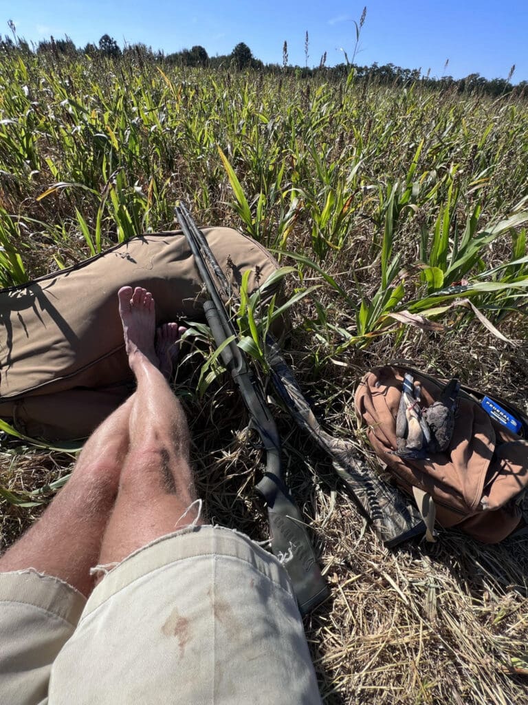 Dove Hunting Season Hot Spots | Hayden Outdoors