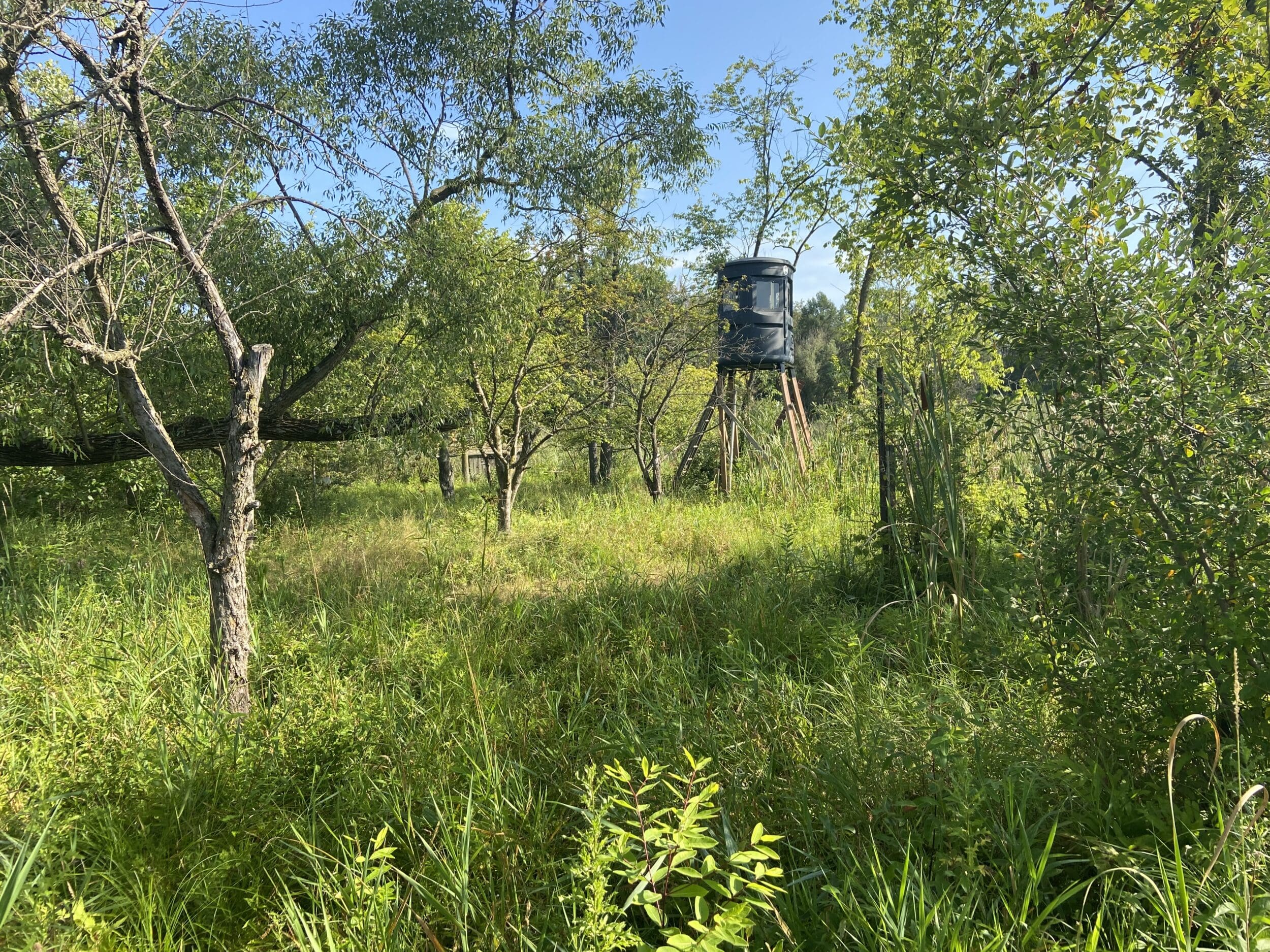 Livingston County 15 Acres | Hayden Outdoors