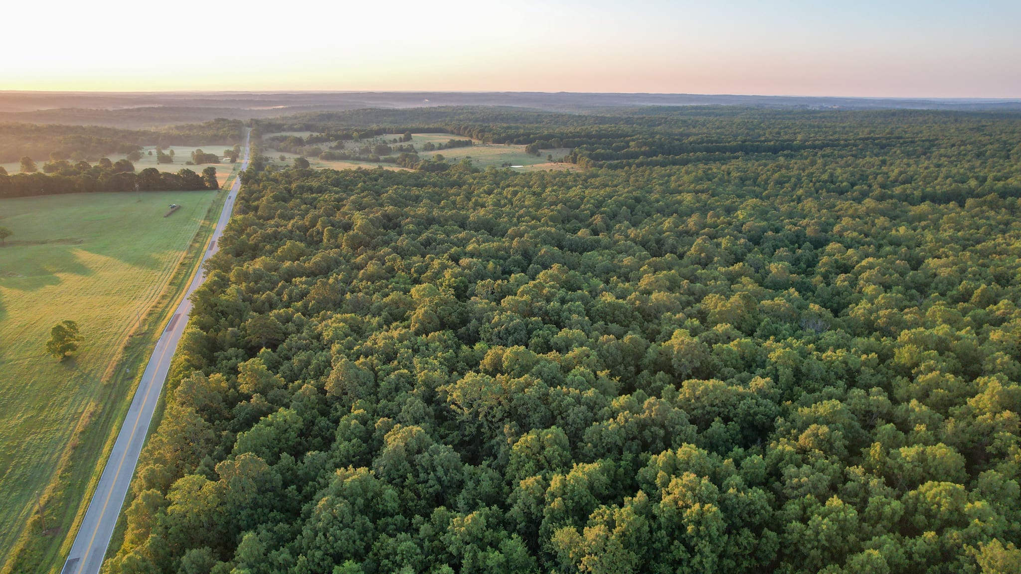 Lebo Timber | Hayden Outdoors