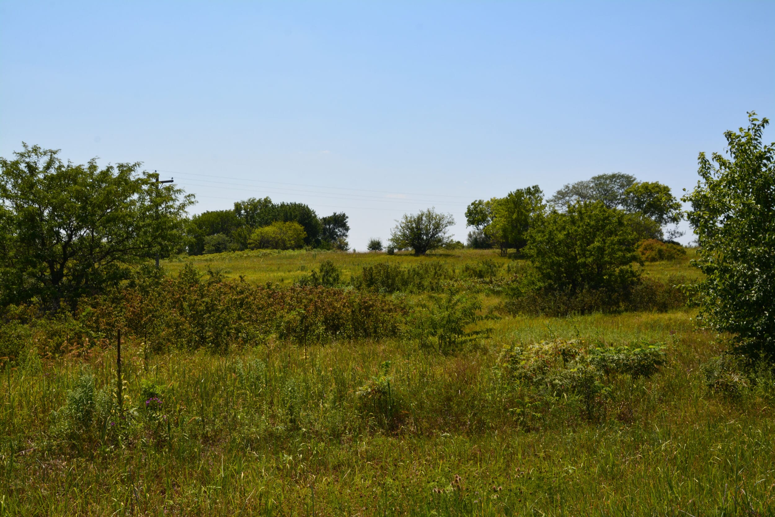 Raeta Estates Lot 10 | Hayden Outdoors