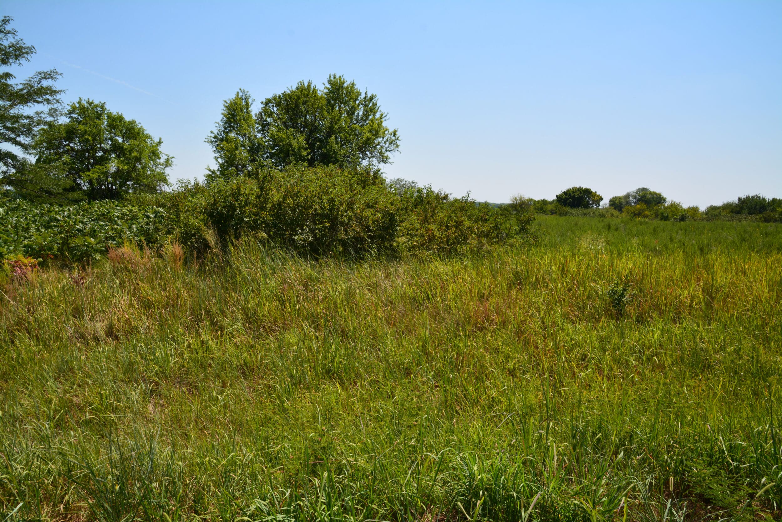 Raeta Estates Lot 12 | Hayden Outdoors