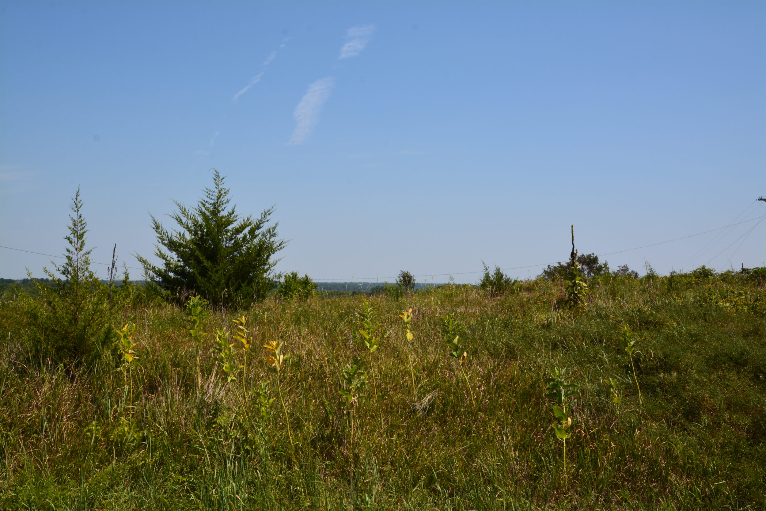 Raeta Estates Lot 6 | Hayden Outdoors