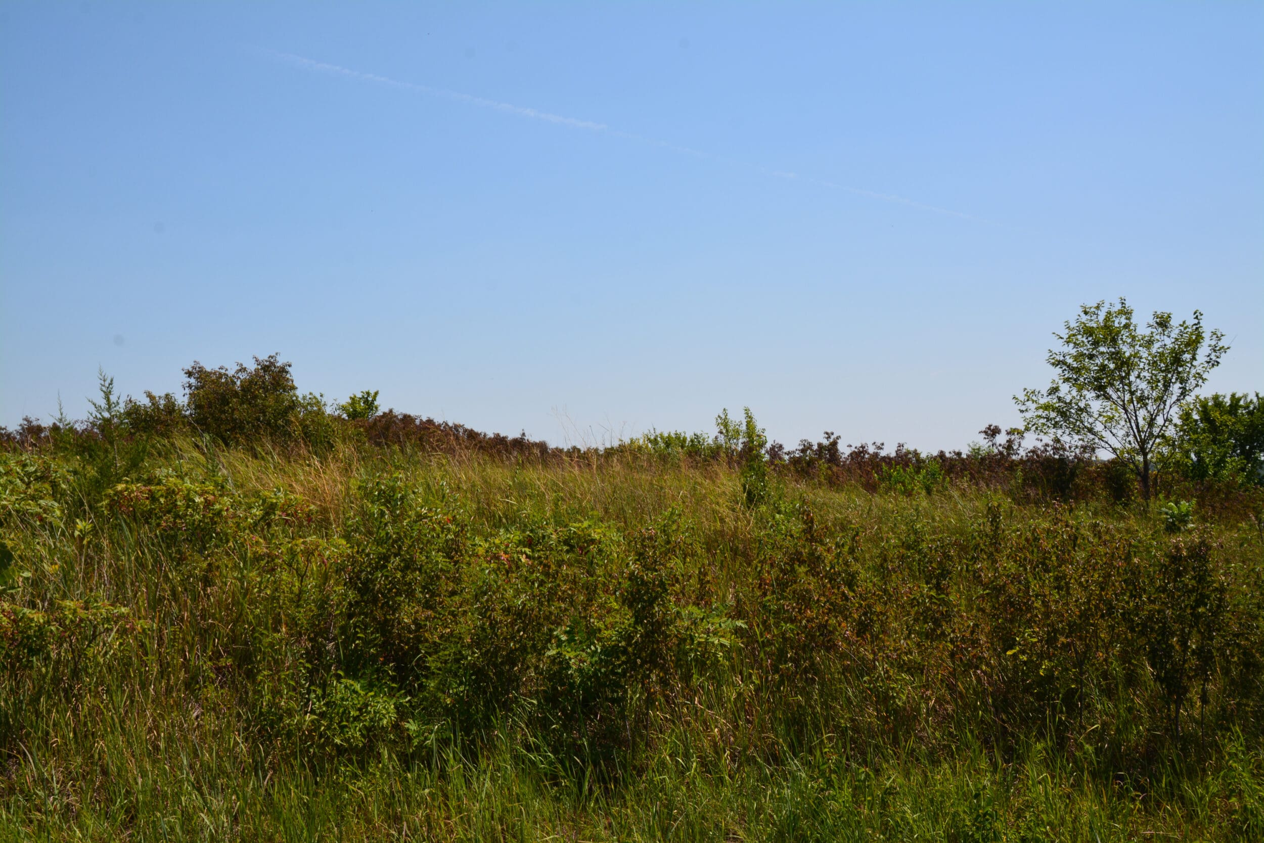 Raeta Estates Lot 7 | Hayden Outdoors