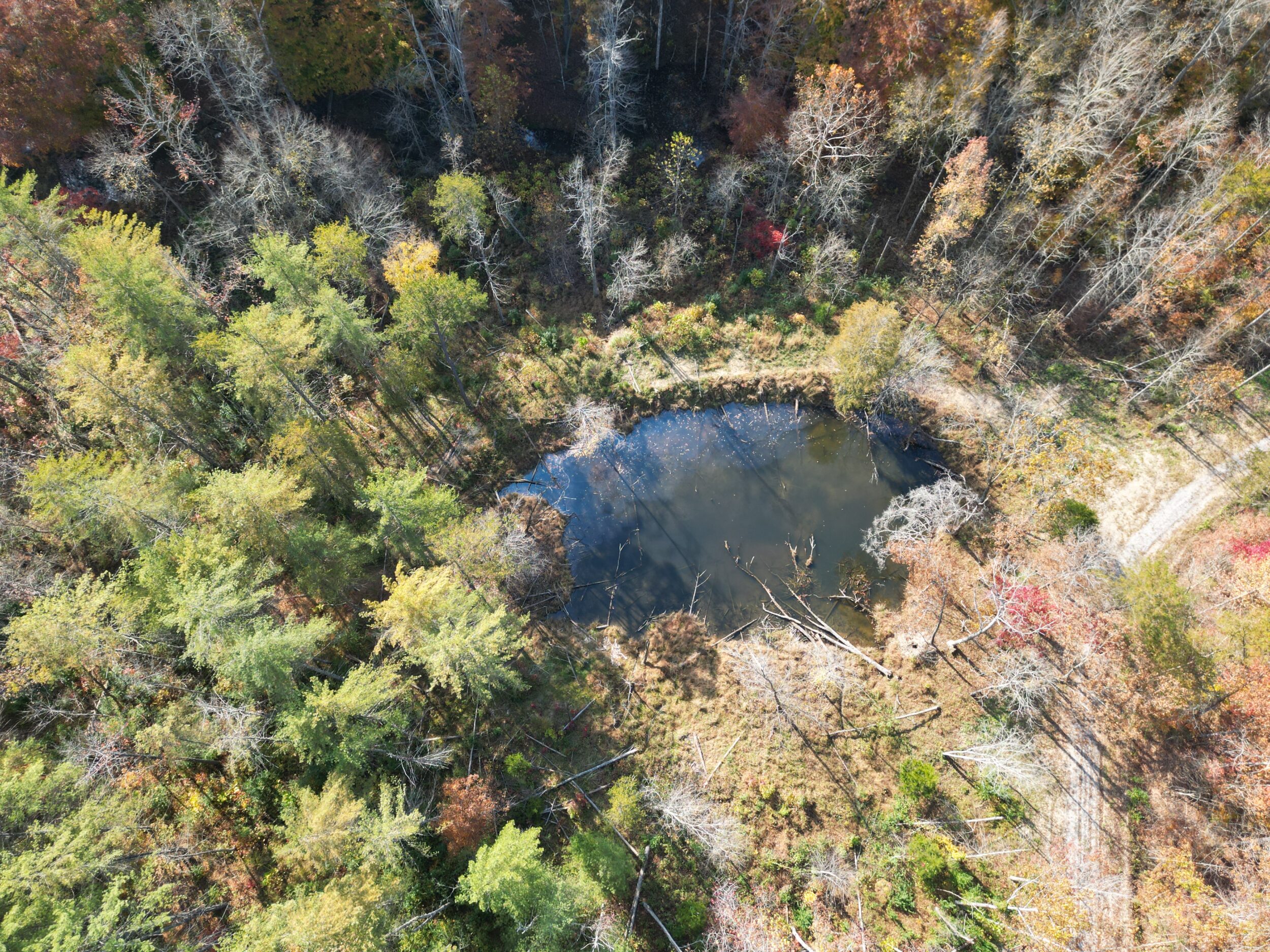 Whitley County 55 | Hayden Outdoors