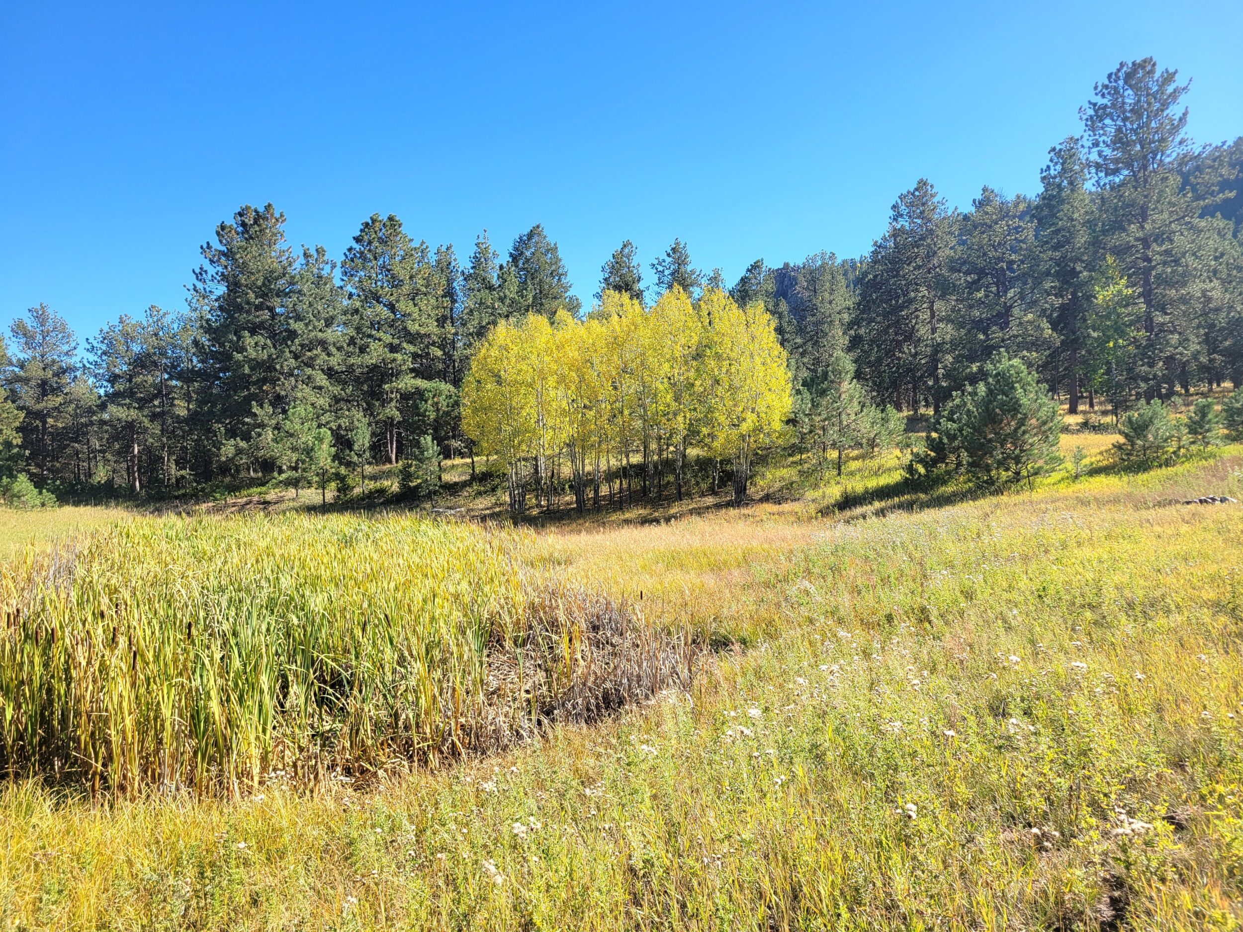 Beasley Hills Ranch Lot 4 | Hayden Outdoors