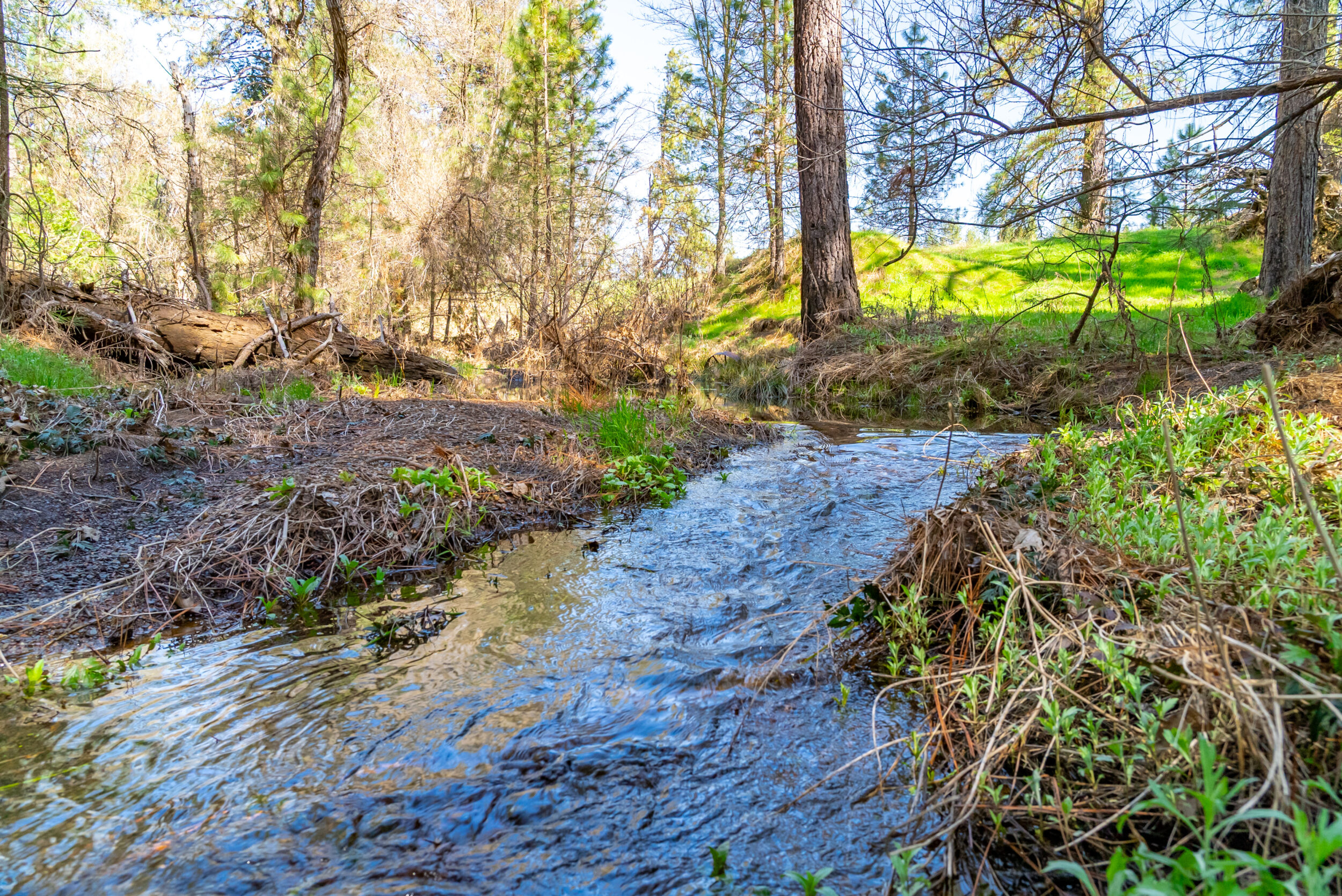 Fiske Ranch | Hayden Outdoors