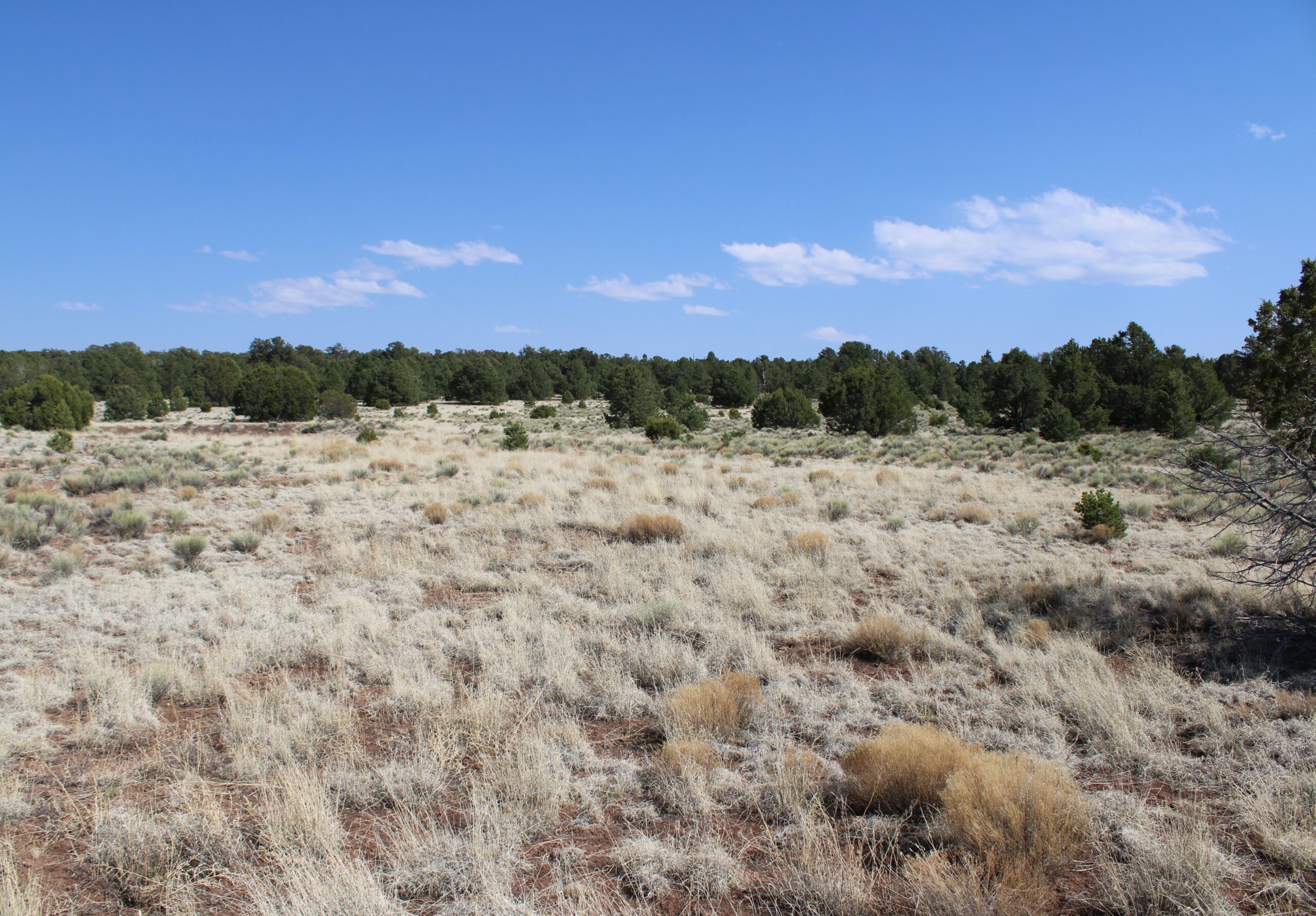 GG Ranch | Hayden Outdoors