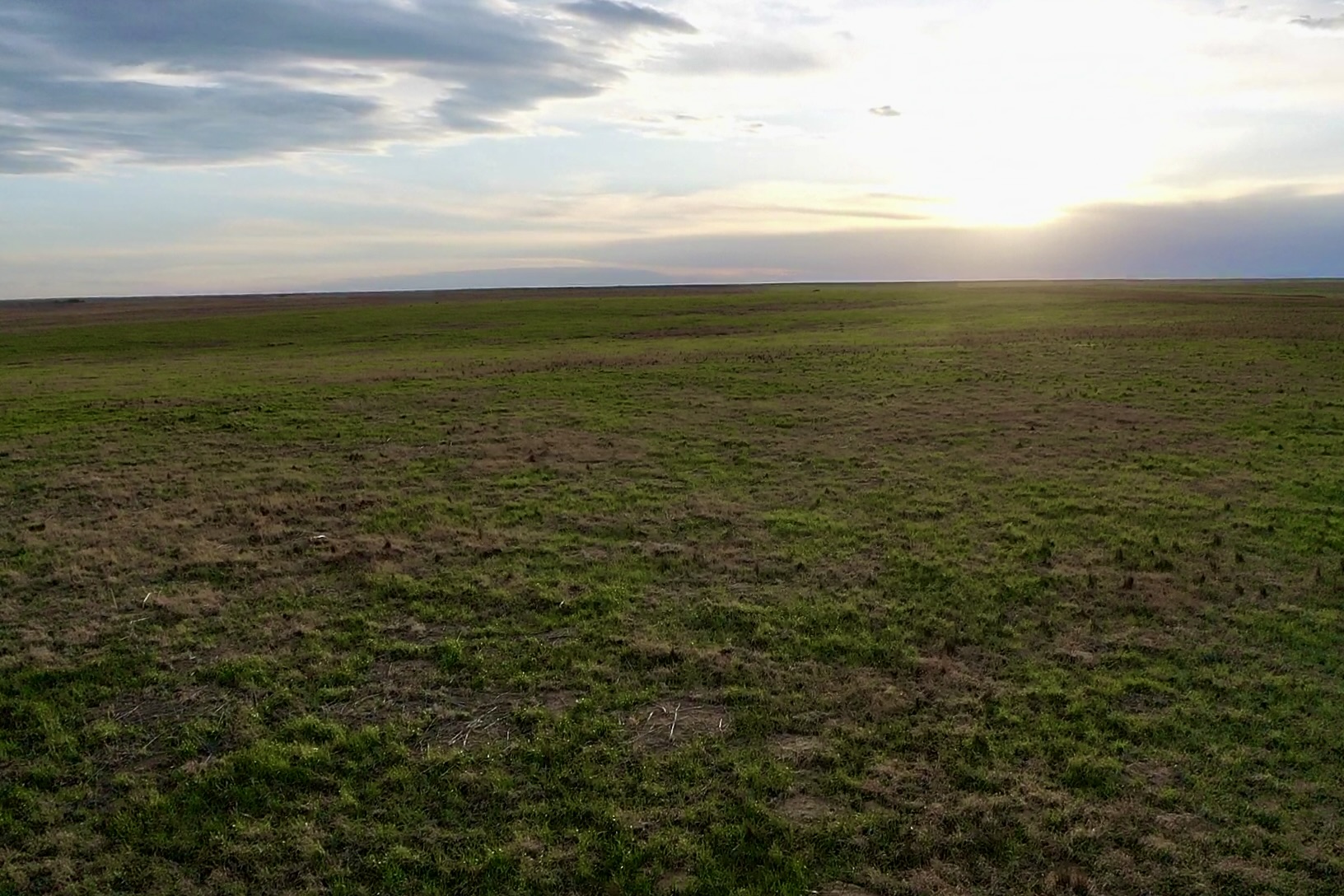 Wallace County Line Farm and Ranch | Hayden Outdoors