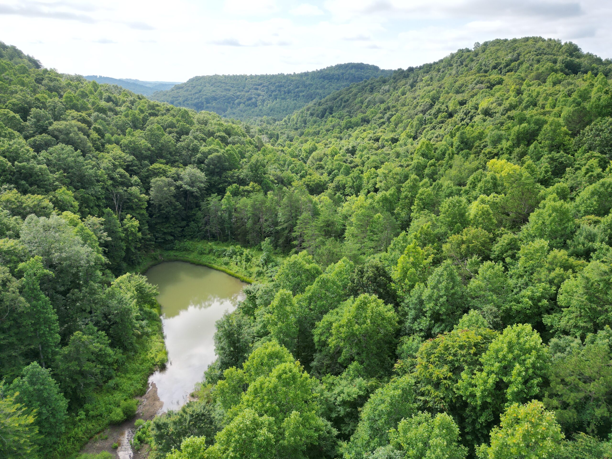 Brammer Hill Ridge | Hayden Outdoors