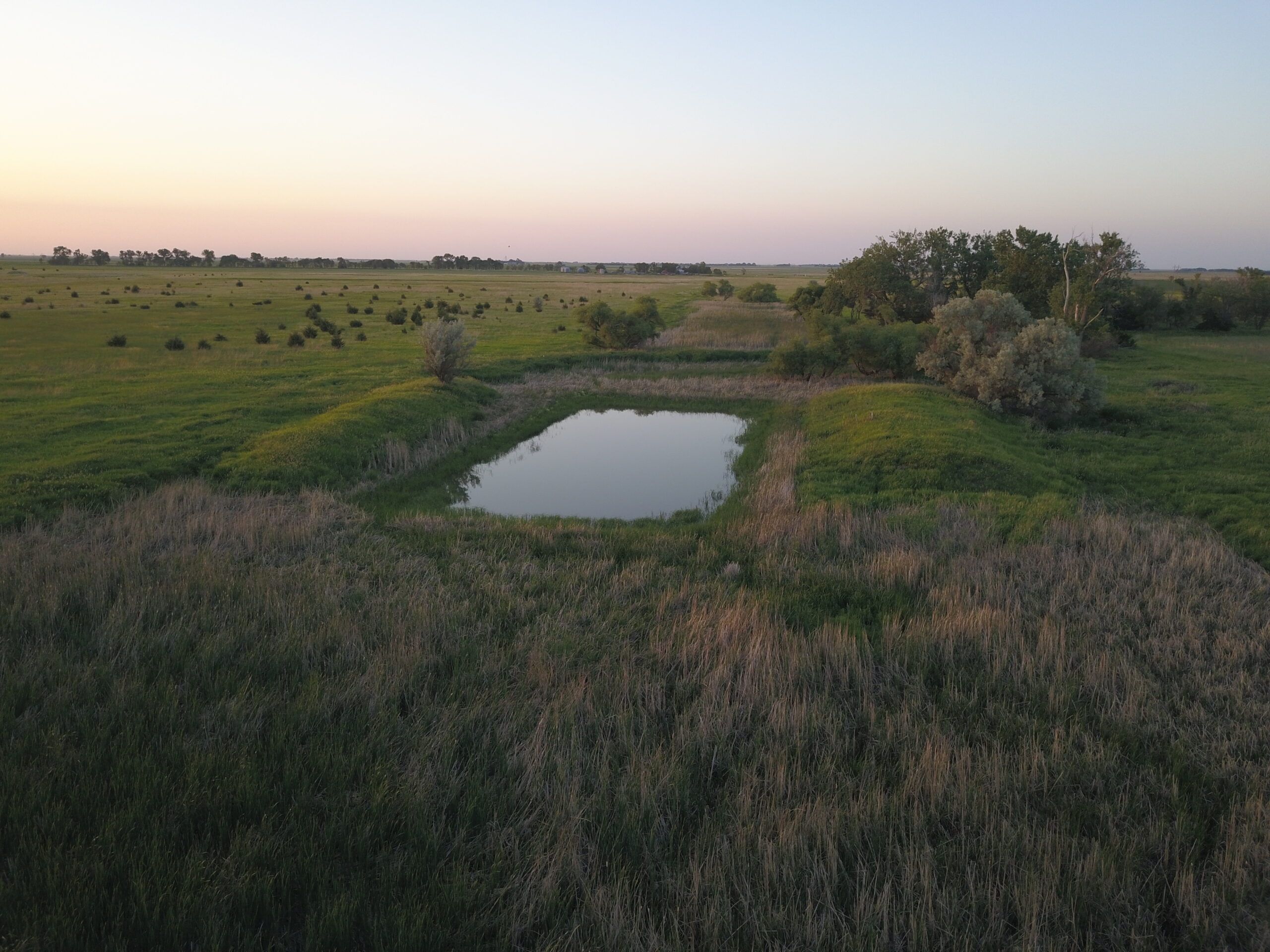 DPS Upland Reserve-480 | Hayden Outdoors