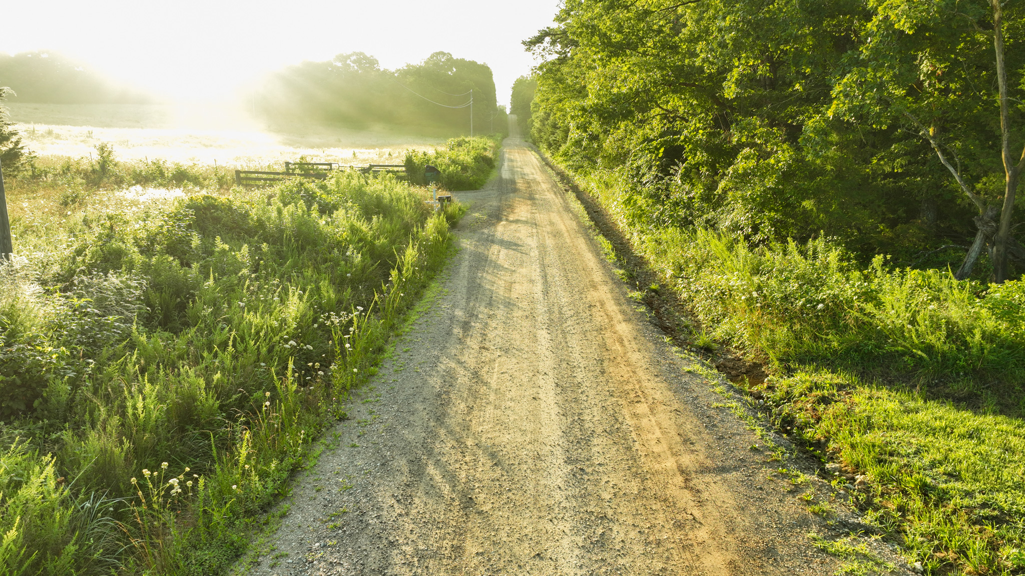 Timber Ridge | Hayden Outdoors