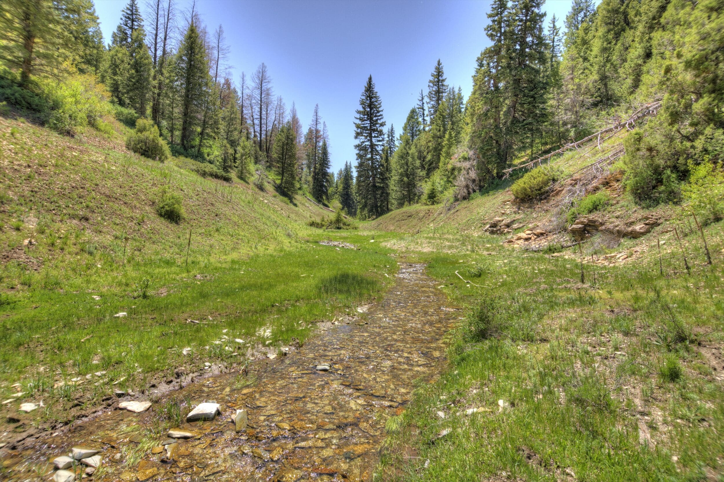 Timber Valley Ranch Tract #1 | Hayden Outdoors