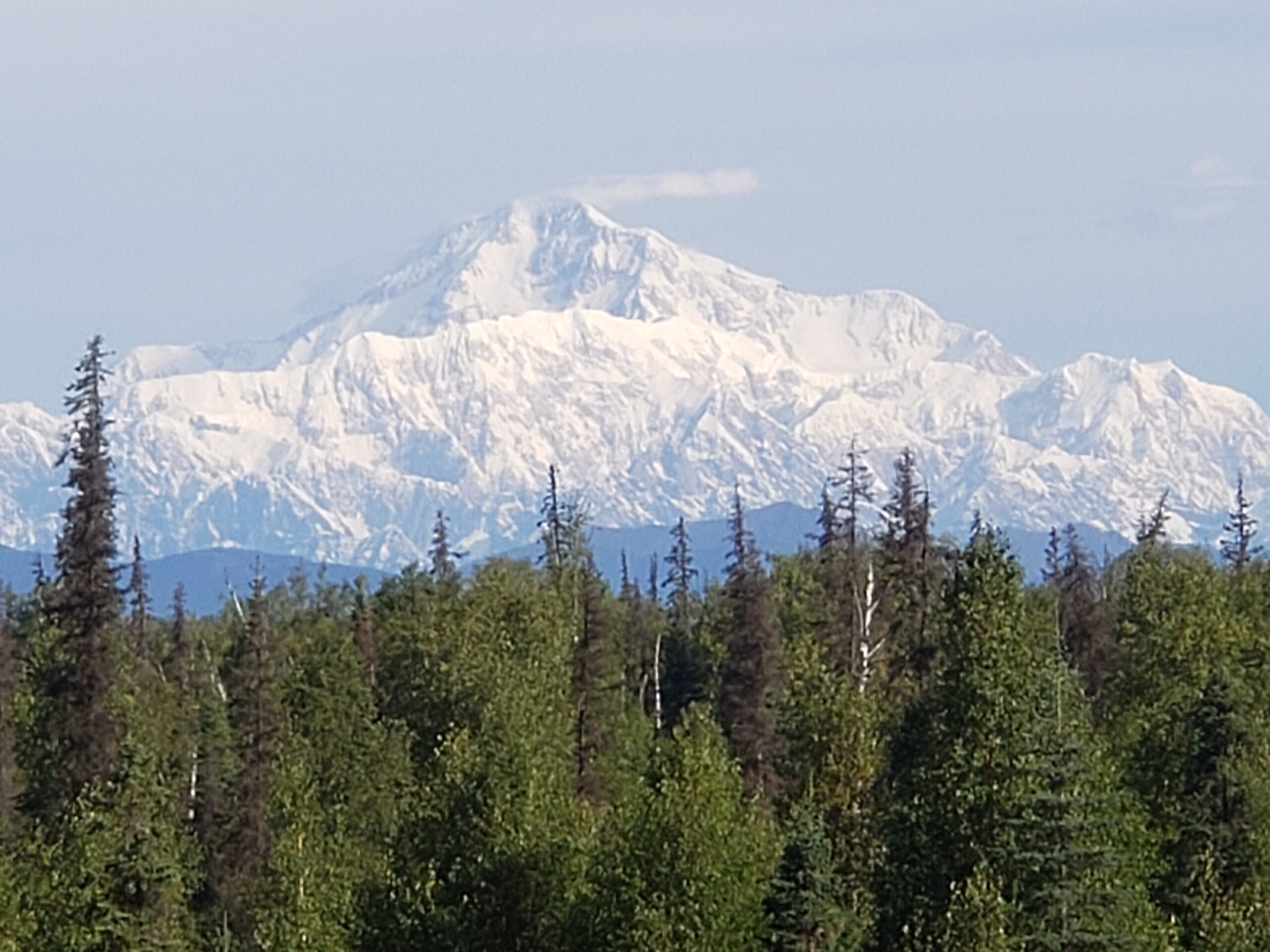 Denali Views and Moose Dreams | Hayden Outdoors