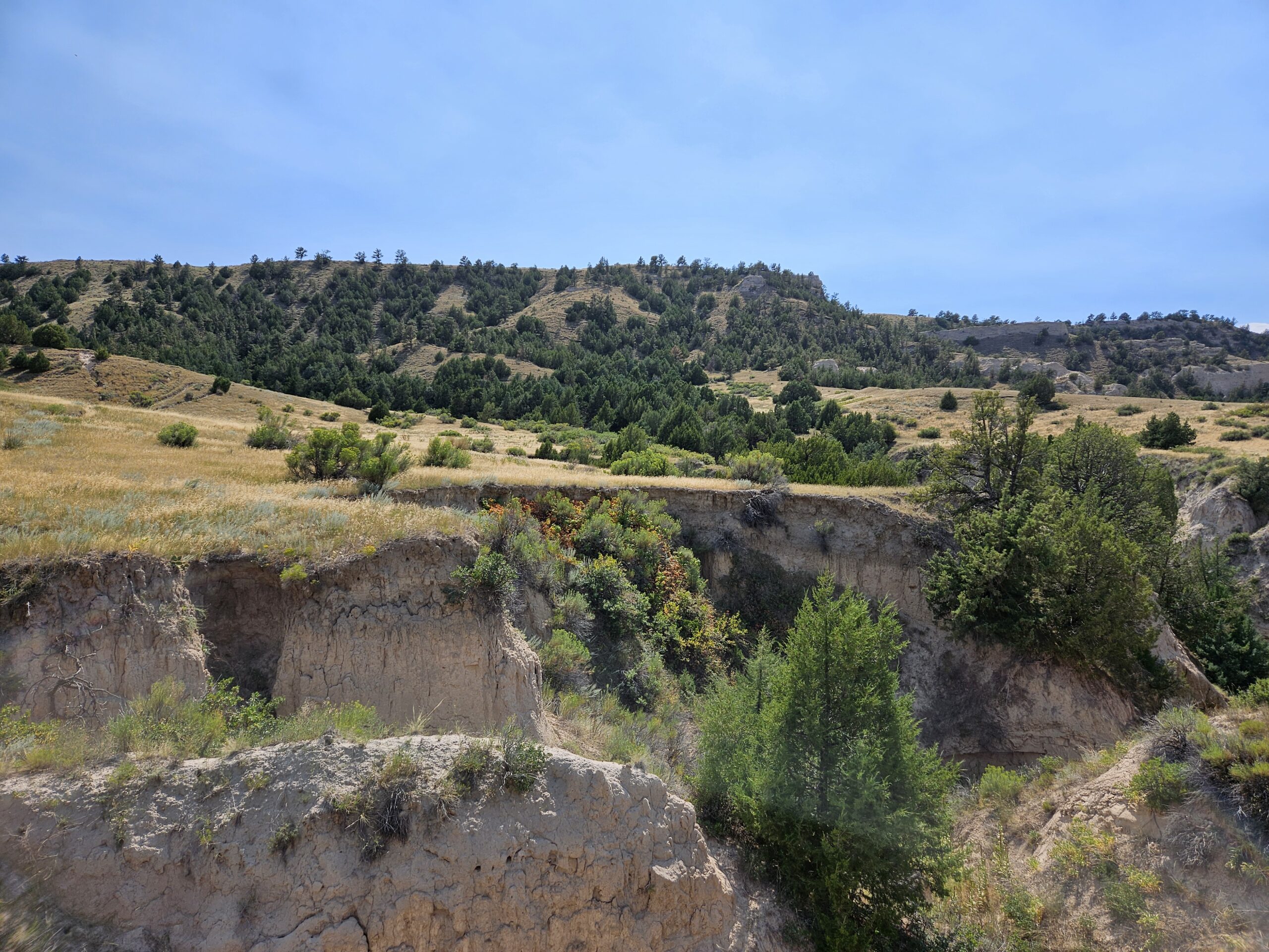 Tower Bluff Ranch | Hayden Outdoors