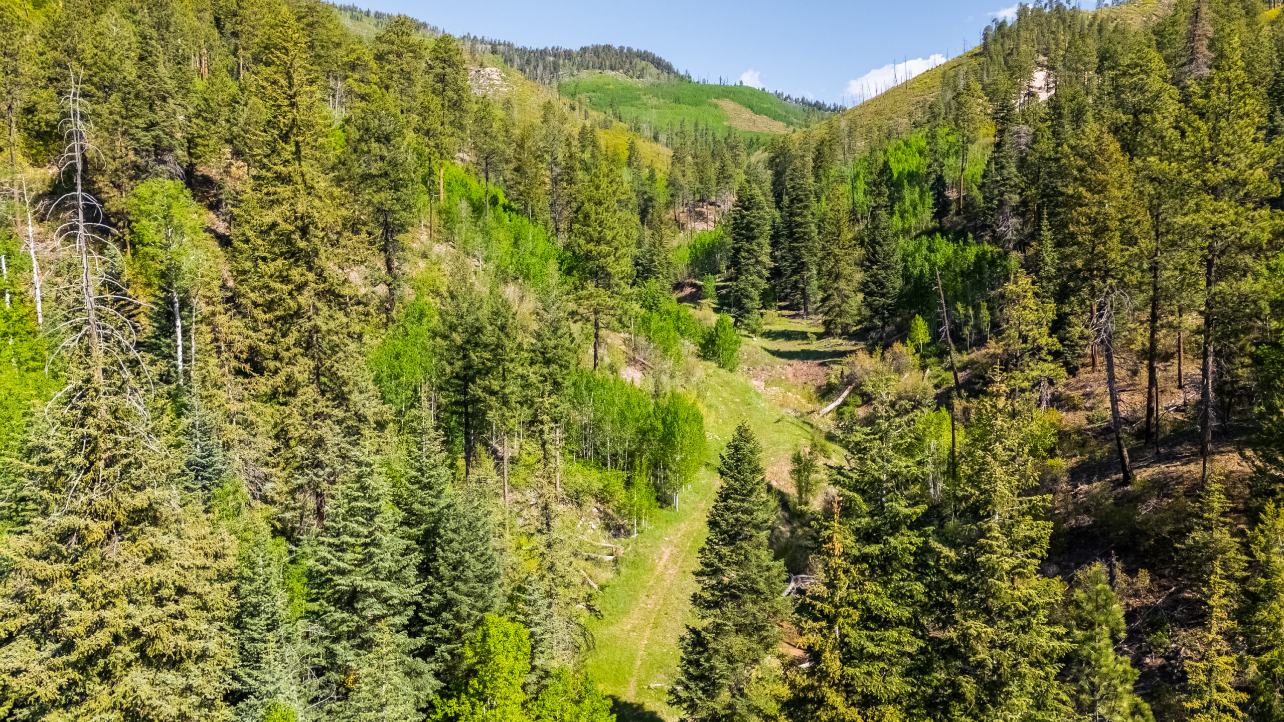 Farrell Spring Ranch | Hayden Outdoors