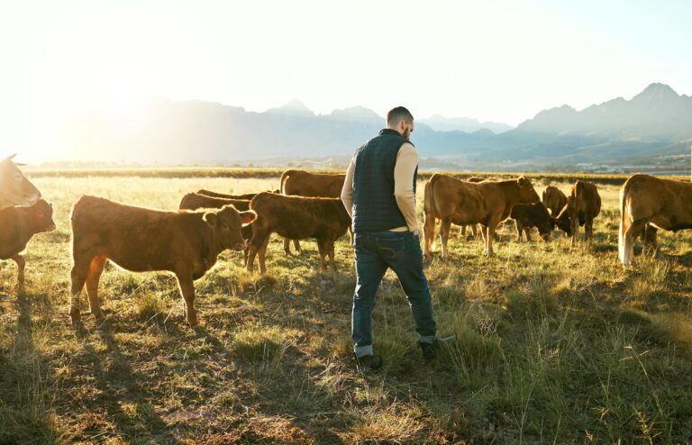 Complete List Of The Best Small Farm Equipment And Tools For Your ...