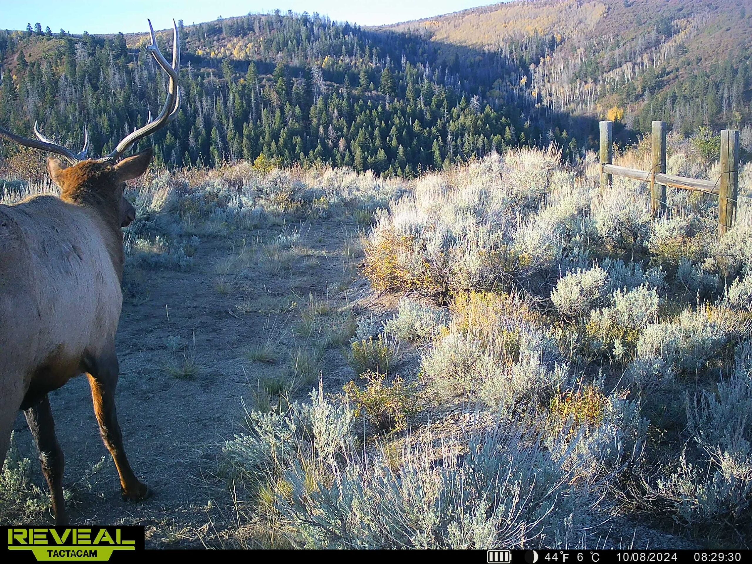 Bugle Canyon Ranch | Hayden Outdoors