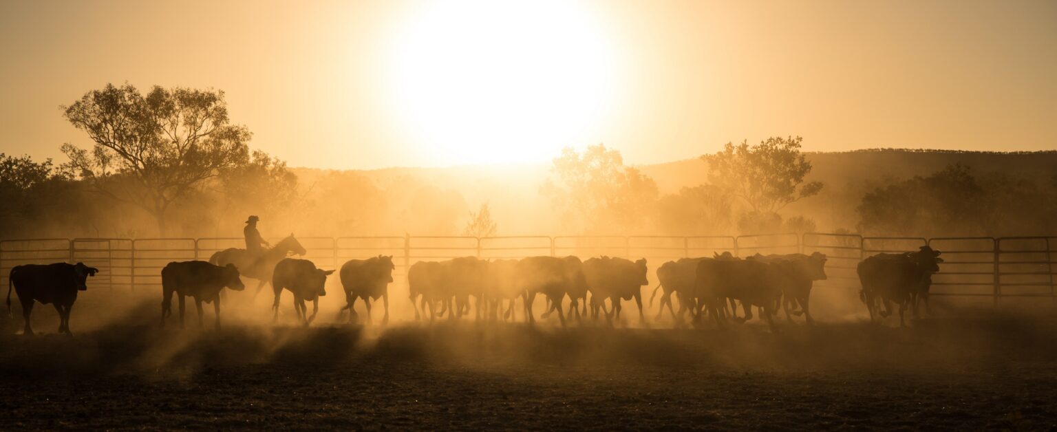 Living On A Ranch – Our Expert Take On What It's Really Like